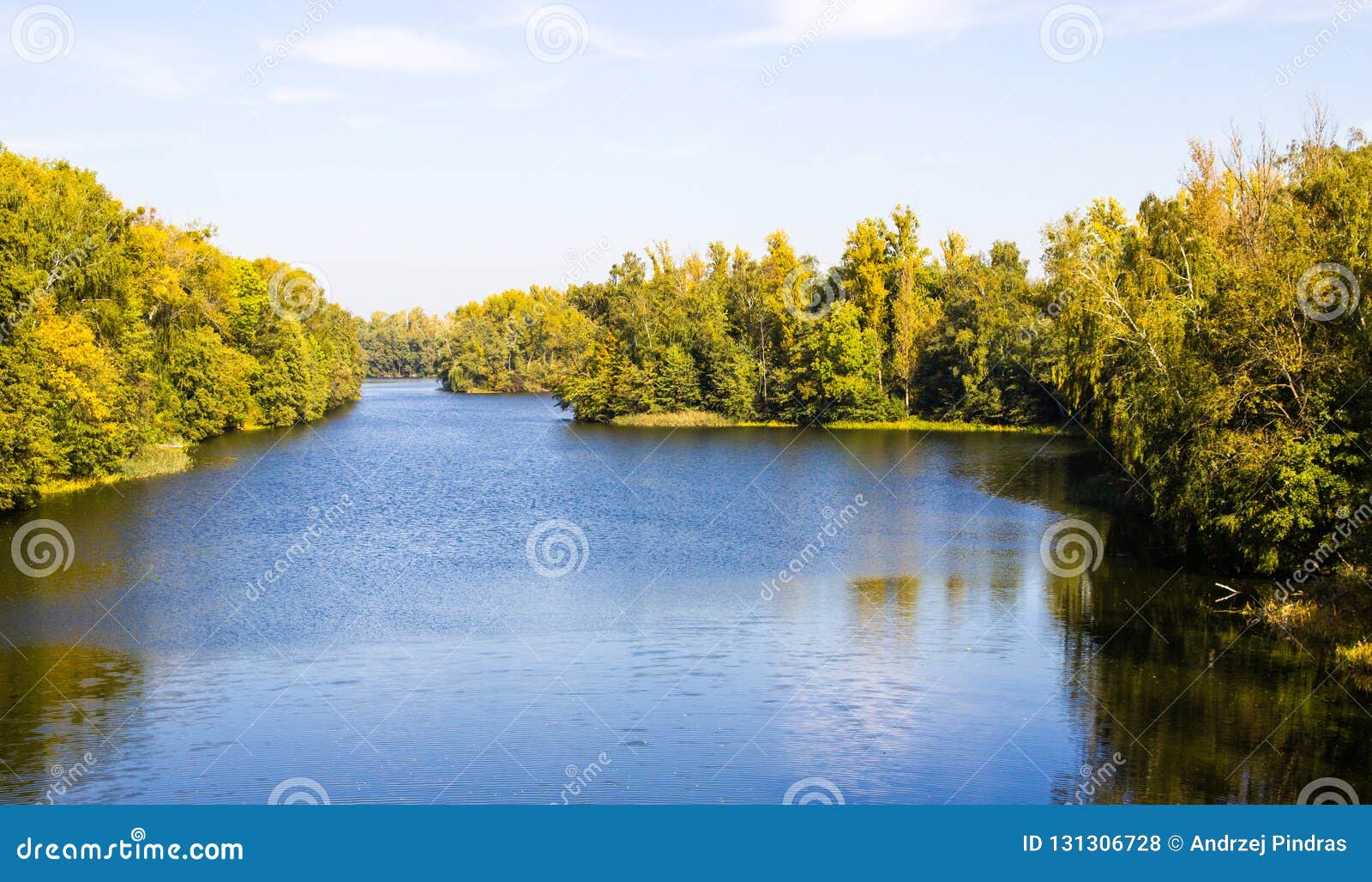 View of the Flowing River among the Trees. Stock Photo - Image of ...