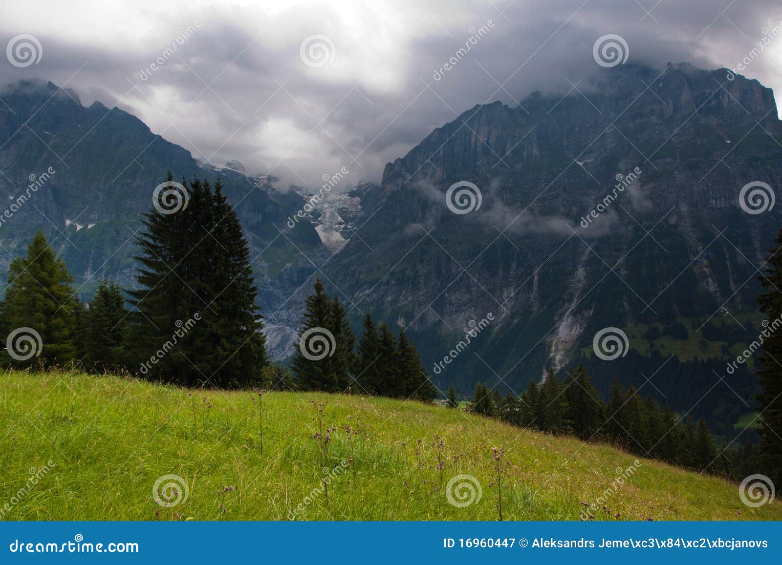 View Fom The FIRST Mountain Stock Image - Image of rural, grass: 16960447