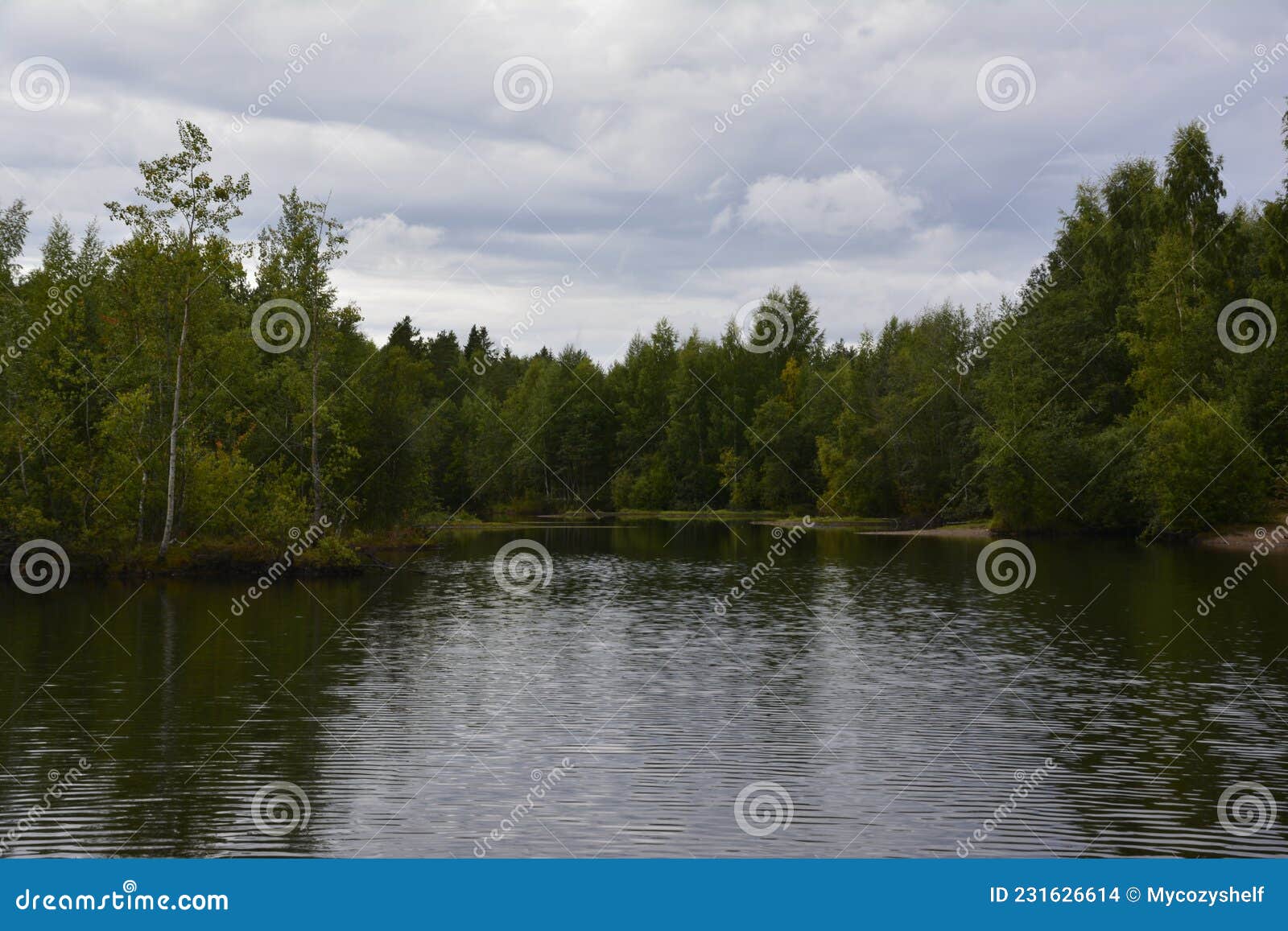 View of the Forest and Lake Stock Photo - Image of landscape, wetland ...