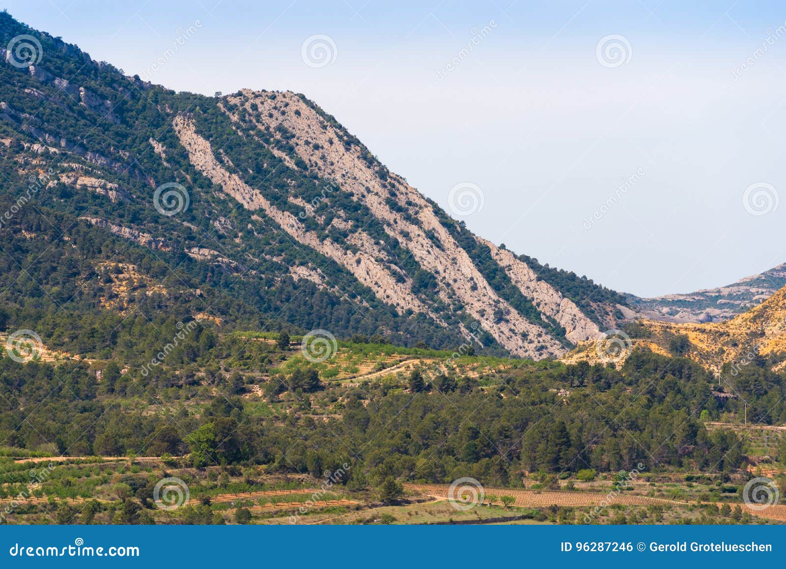 View of the Forest and Mountains in the Province Catalunya, Spain. Copy ...