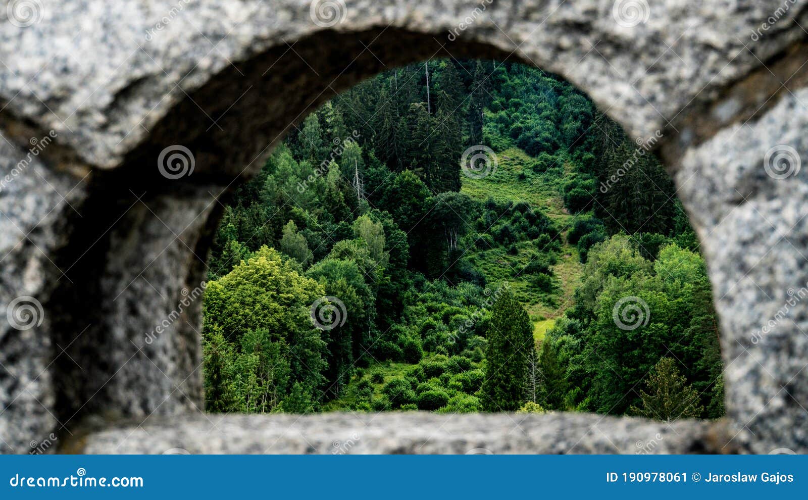 View of the Forest from the Stone Window Stock Image - Image of trees ...