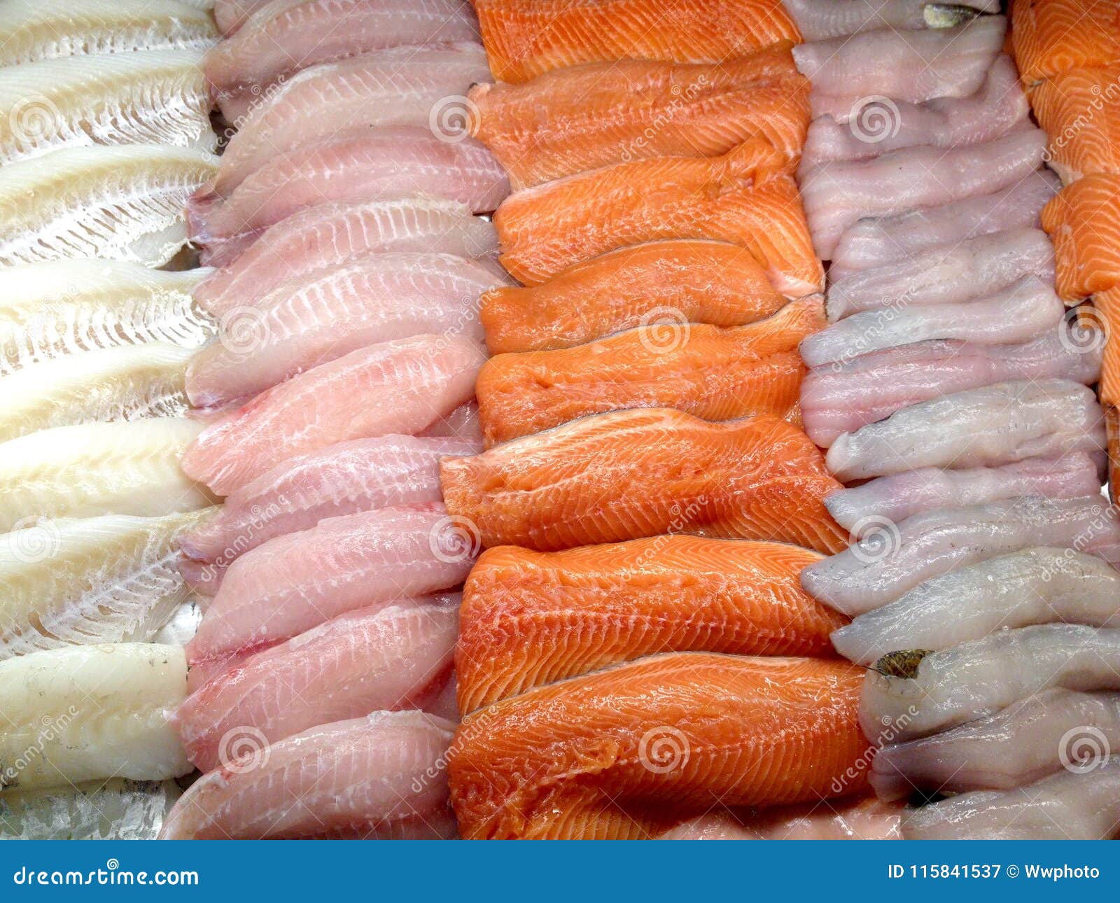 Seafood in the store stock image. Image of fishing, display - 115841537