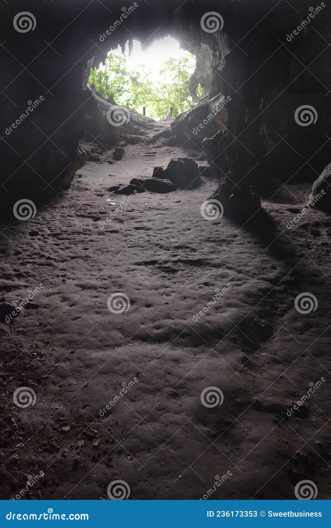A View in Front of a Cave Entrance Stock Image - Image of summer ...