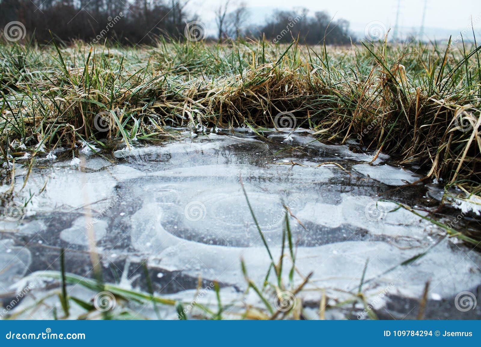 A frozen puddle stock photo. Image of winter, naturally - 109784294