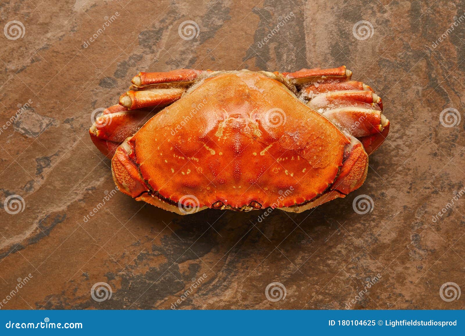 View of Frozen Raw Crab with Stock Image - Image of surface, cool ...