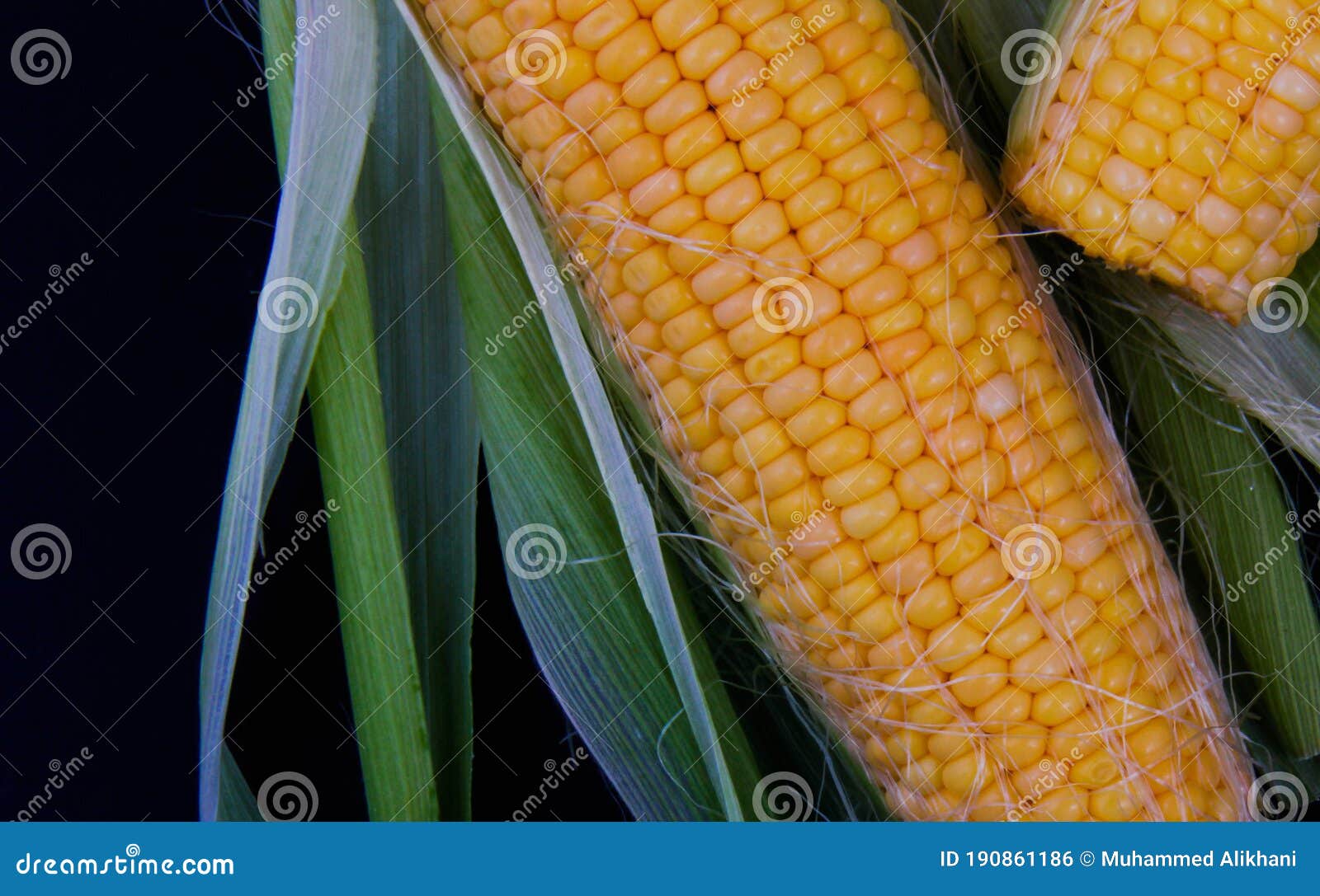 View a Full Corn with Skin Marked by Large Yellow Grains with a Black ...