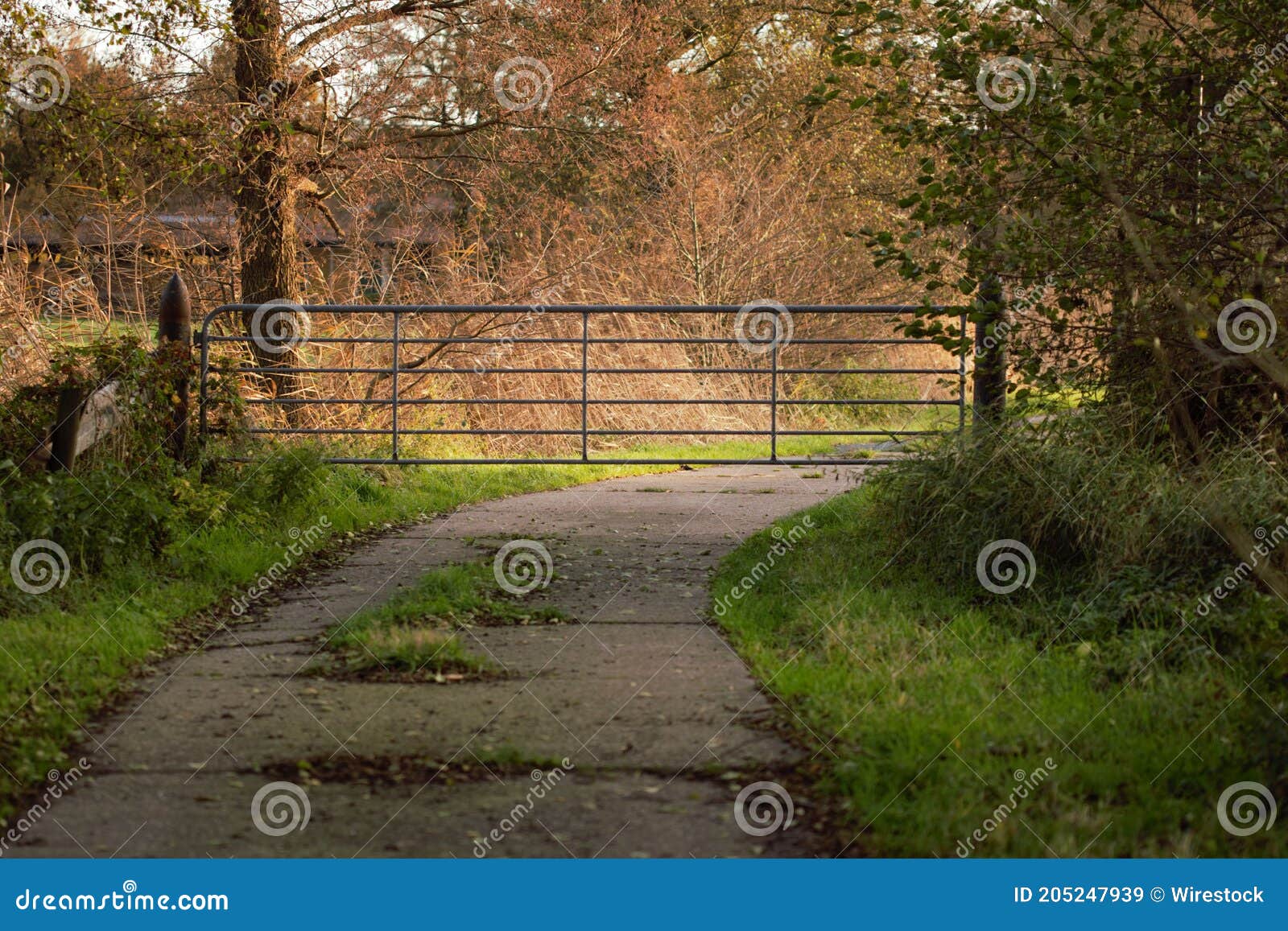 View of a Galvanized Gate in a Farm Stock Image - Image of farming ...