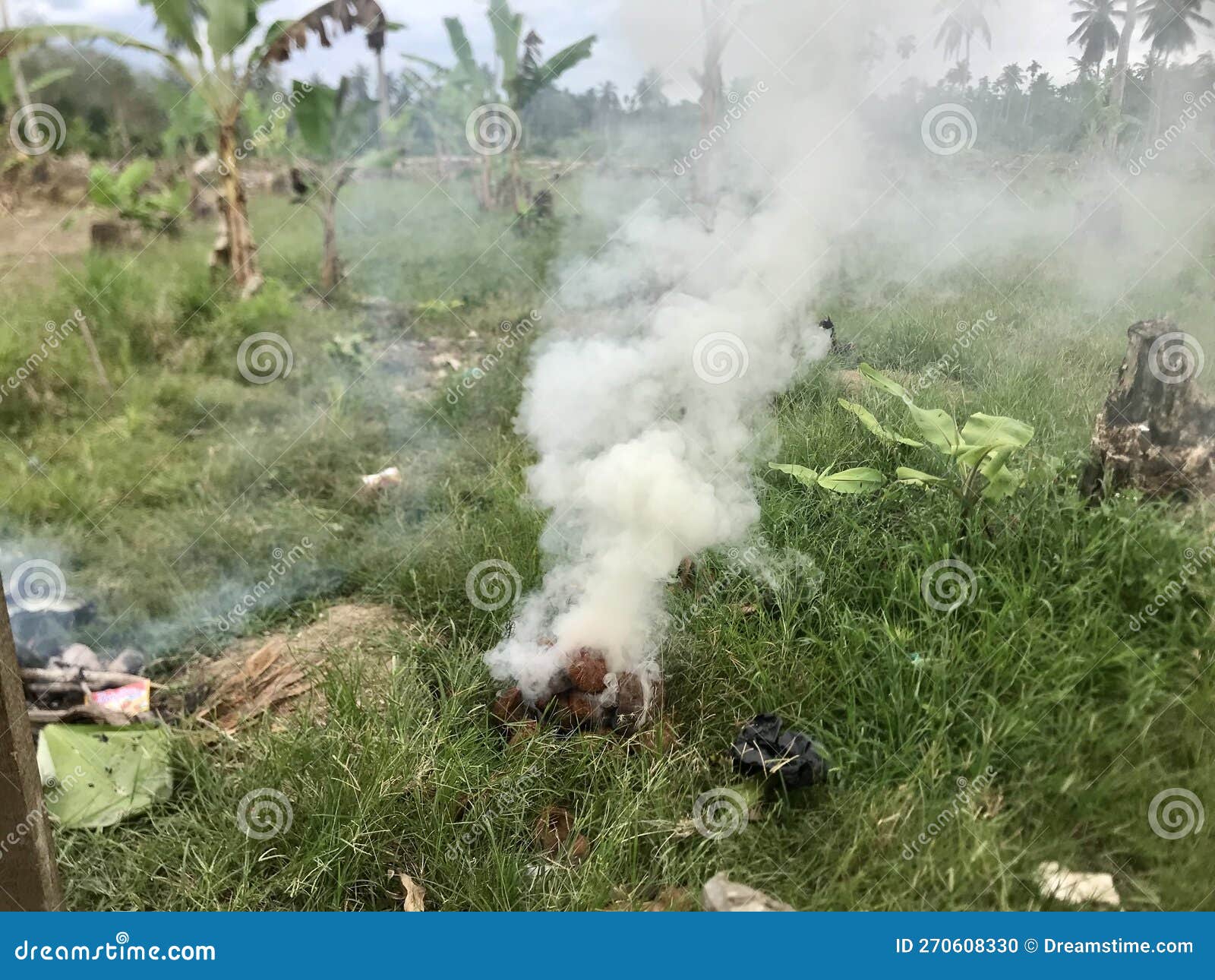 View of Garbage Burning on the Nature. Green Stock Photo - Image of ...