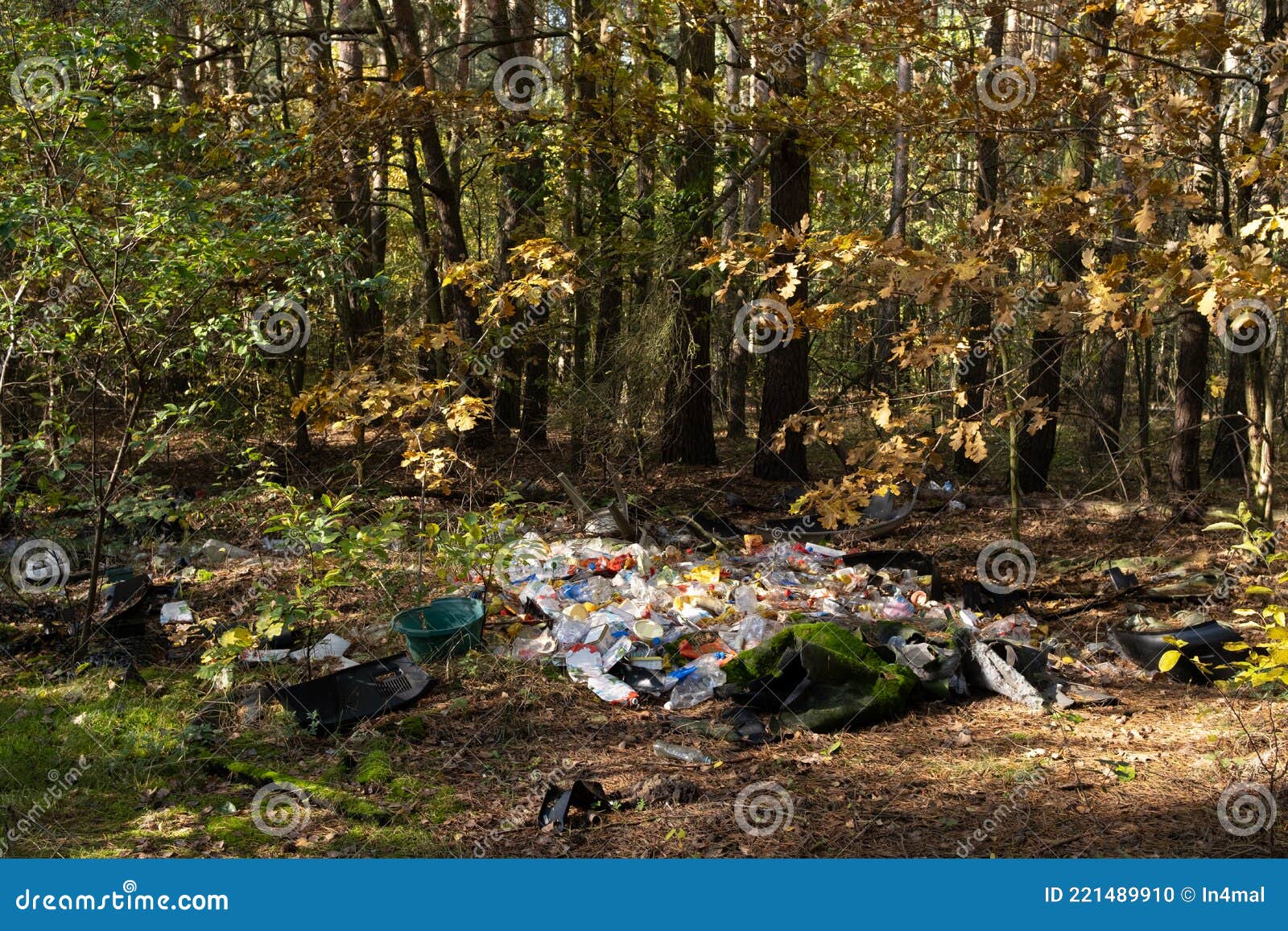 Pollution in forest stock photo. Image of grass, light - 221489910