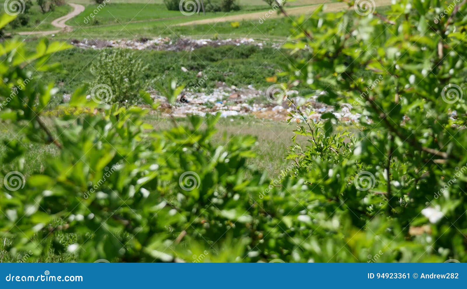 View of Garbage through a Tree Branch Stock Video - Video of dustbin ...