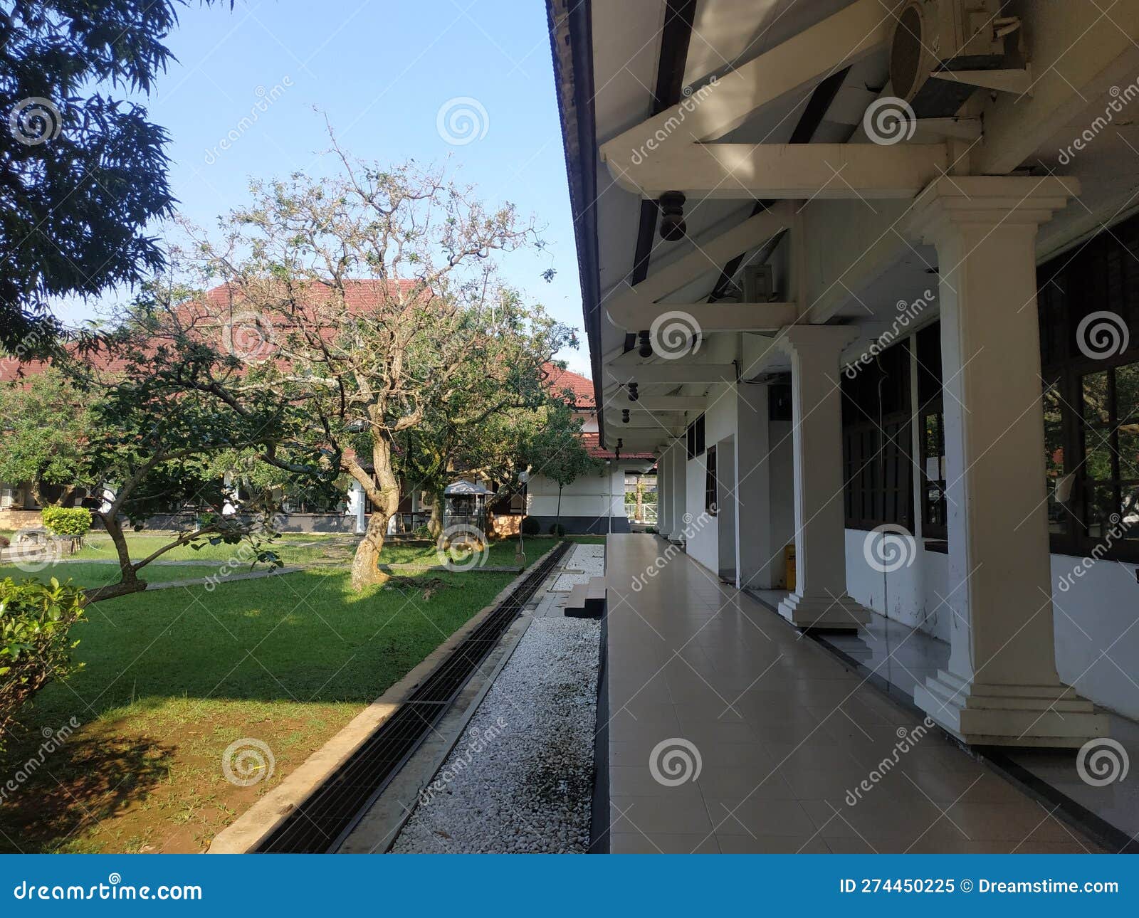 View of the Garden Behind the Building Stock Image - Image of indigo ...