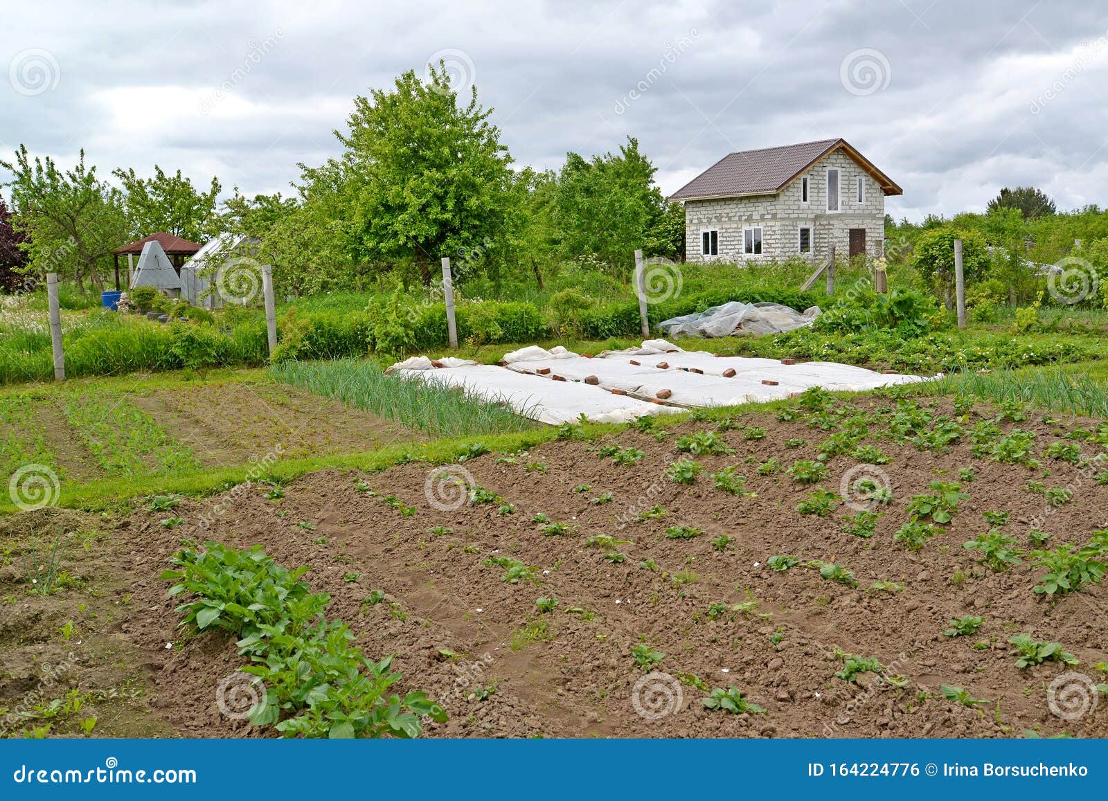 View of the Garden and Economic Buildings. Country Plot Stock Photo ...