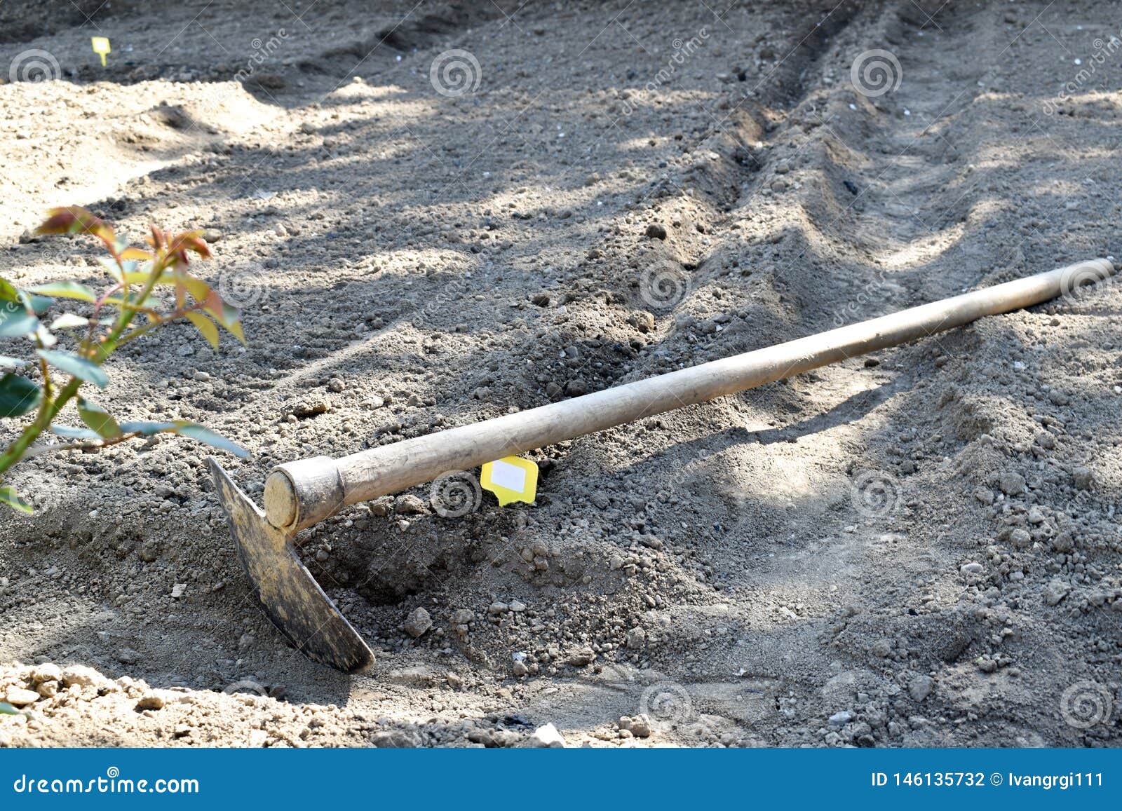 View on Gardening Tool Hoe Laying on the Soil Stock Photo - Image of ...