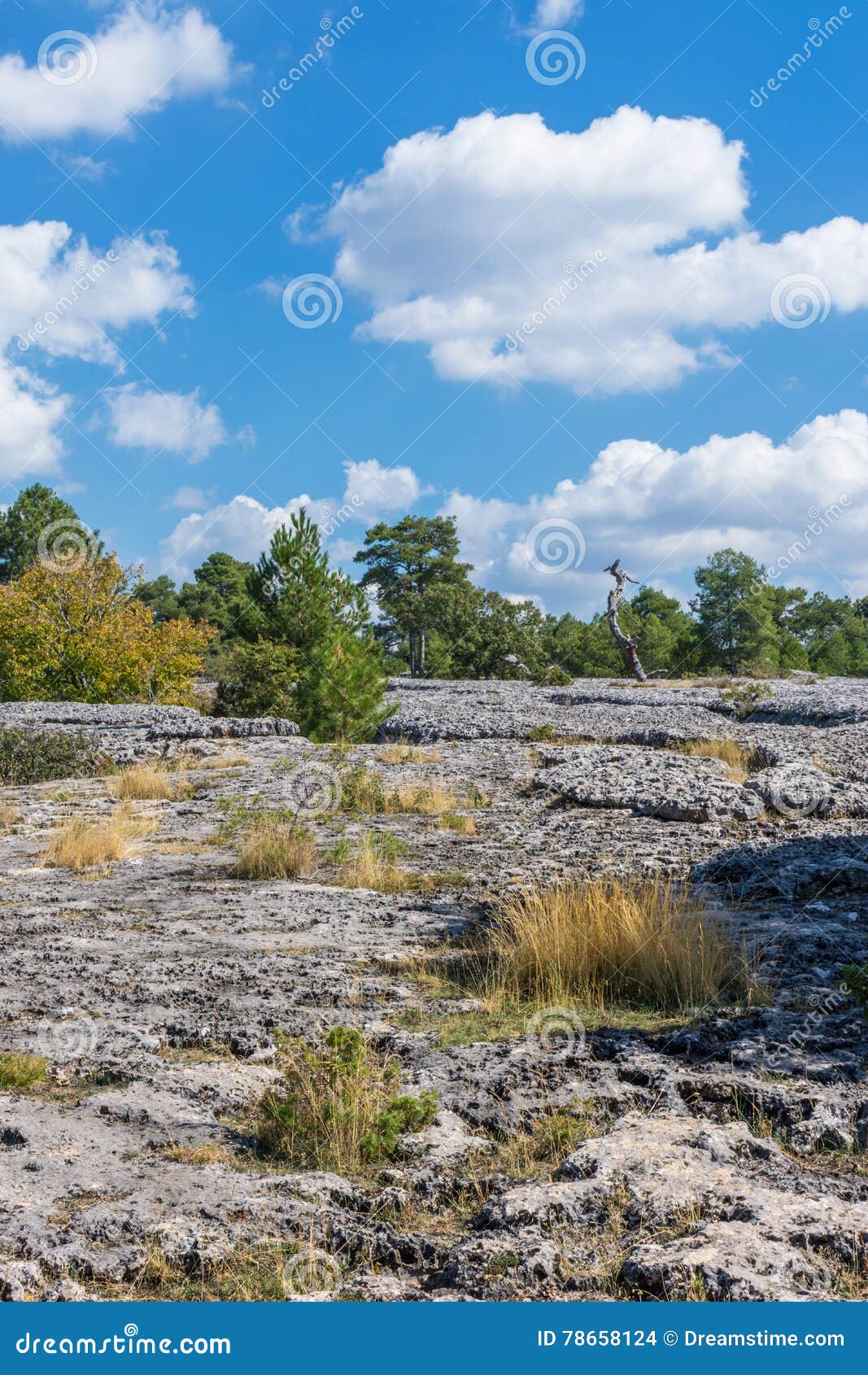 View of a Geological Rock Park Panorama Stock Photo - Image of daytime ...