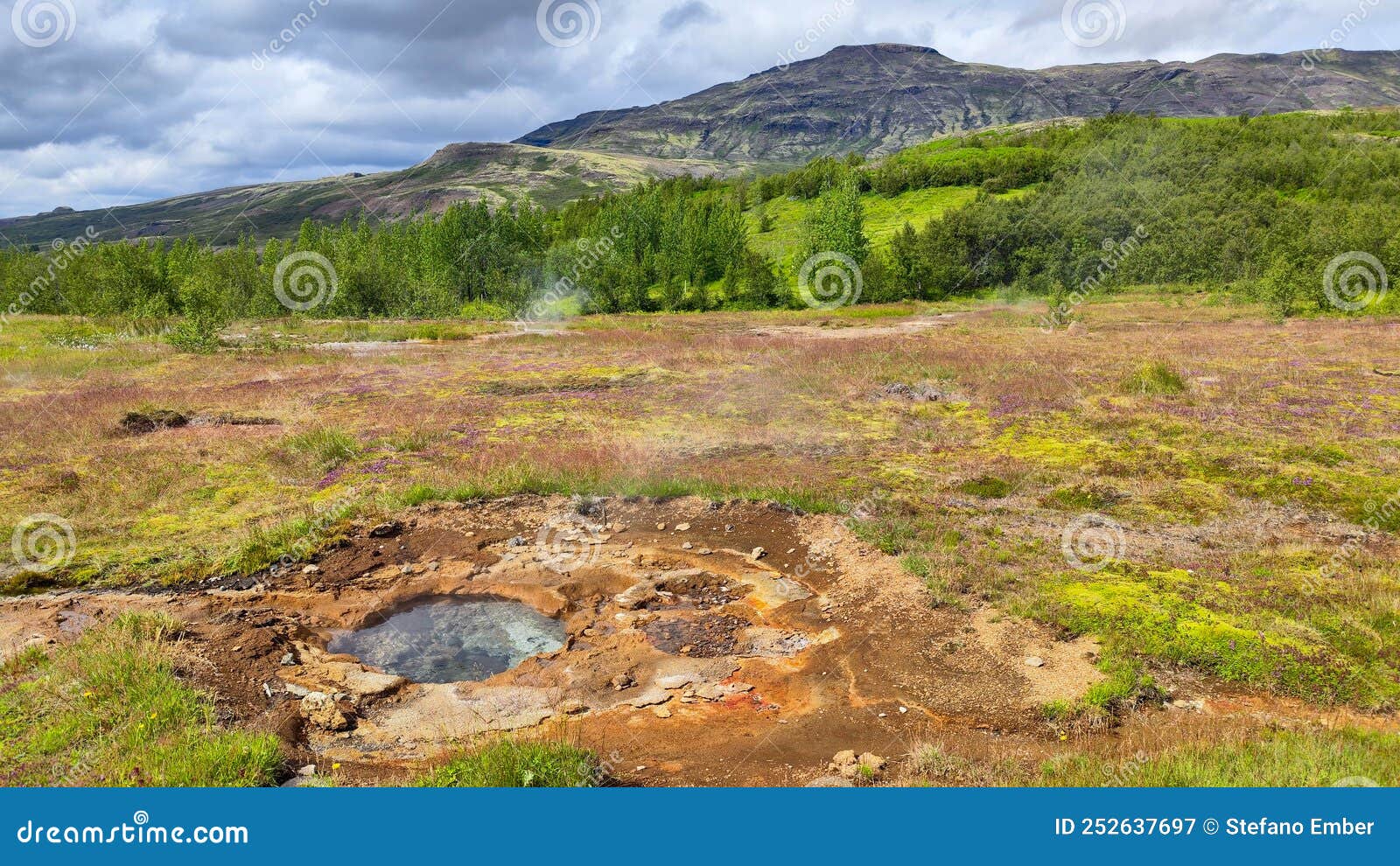 View at the Geothermal Field of Geysir in Iceland Stock Image - Image ...