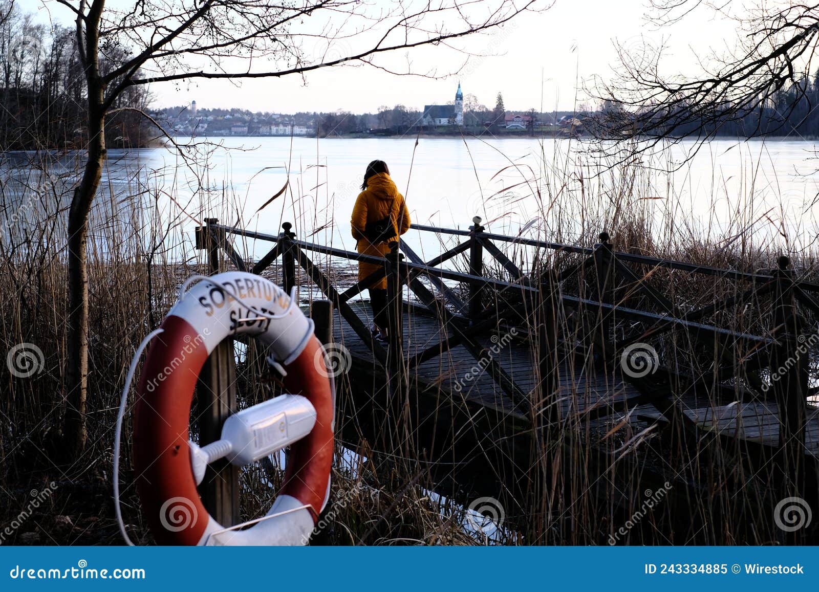 View of Girl Standing on the Bridge Watching Far Stock Image - Image of ...