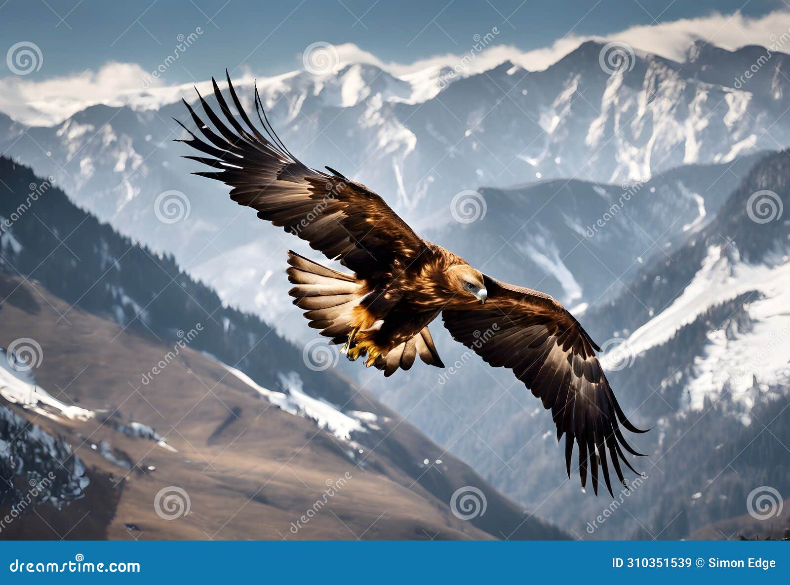 A view of a Golden Eagle stock illustration. Illustration of flight ...