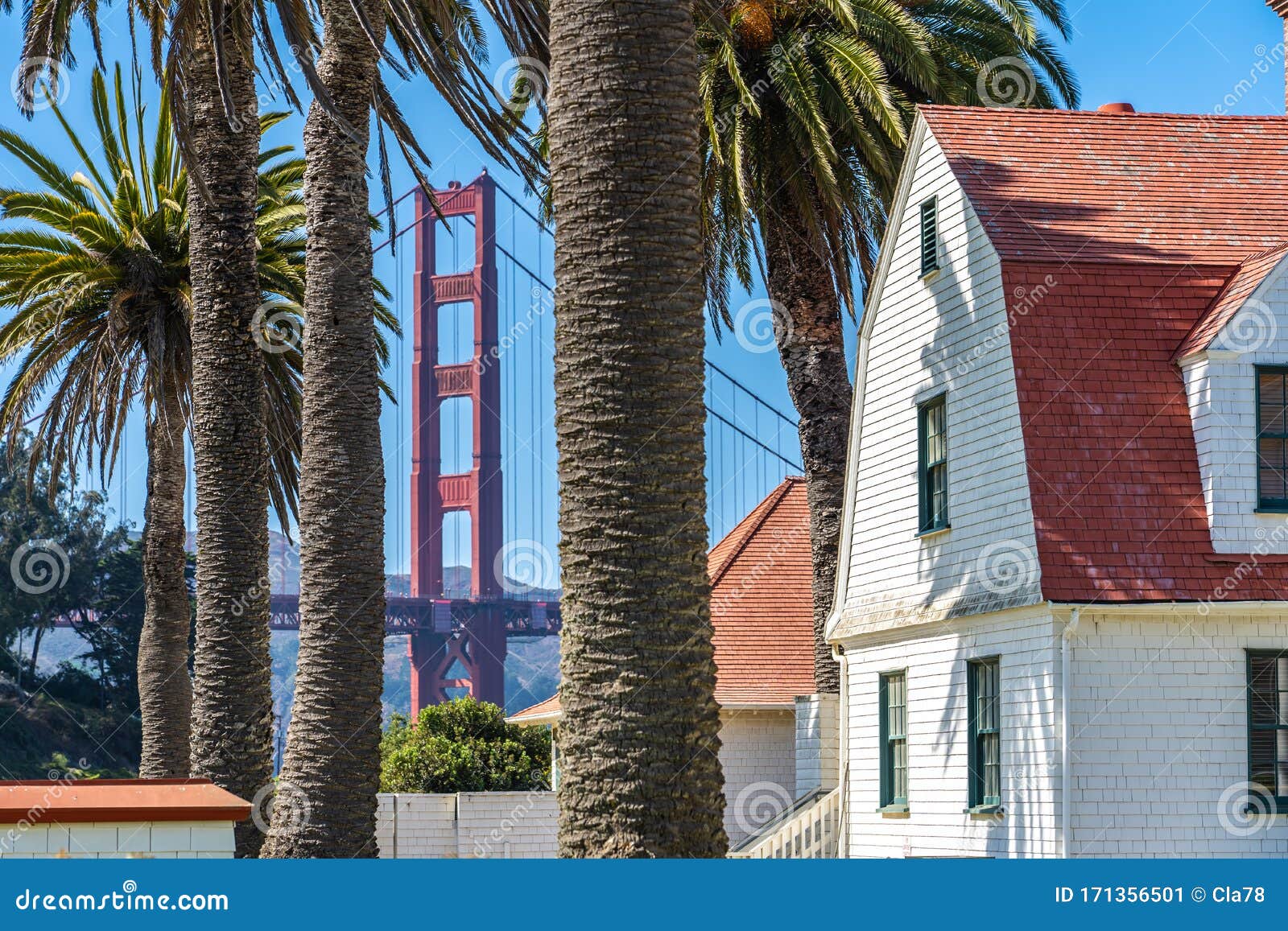 View of the Golden Gate Bridge between Palms Stock Image - Image of ...