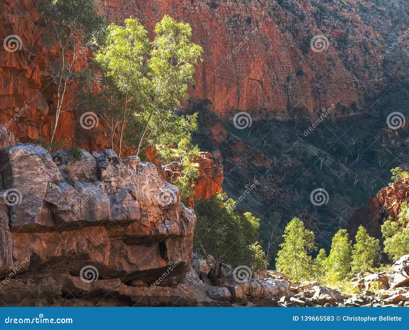 View of the Gorge Walls at Ormiston Gorge in the West Macdonnell Ranges ...