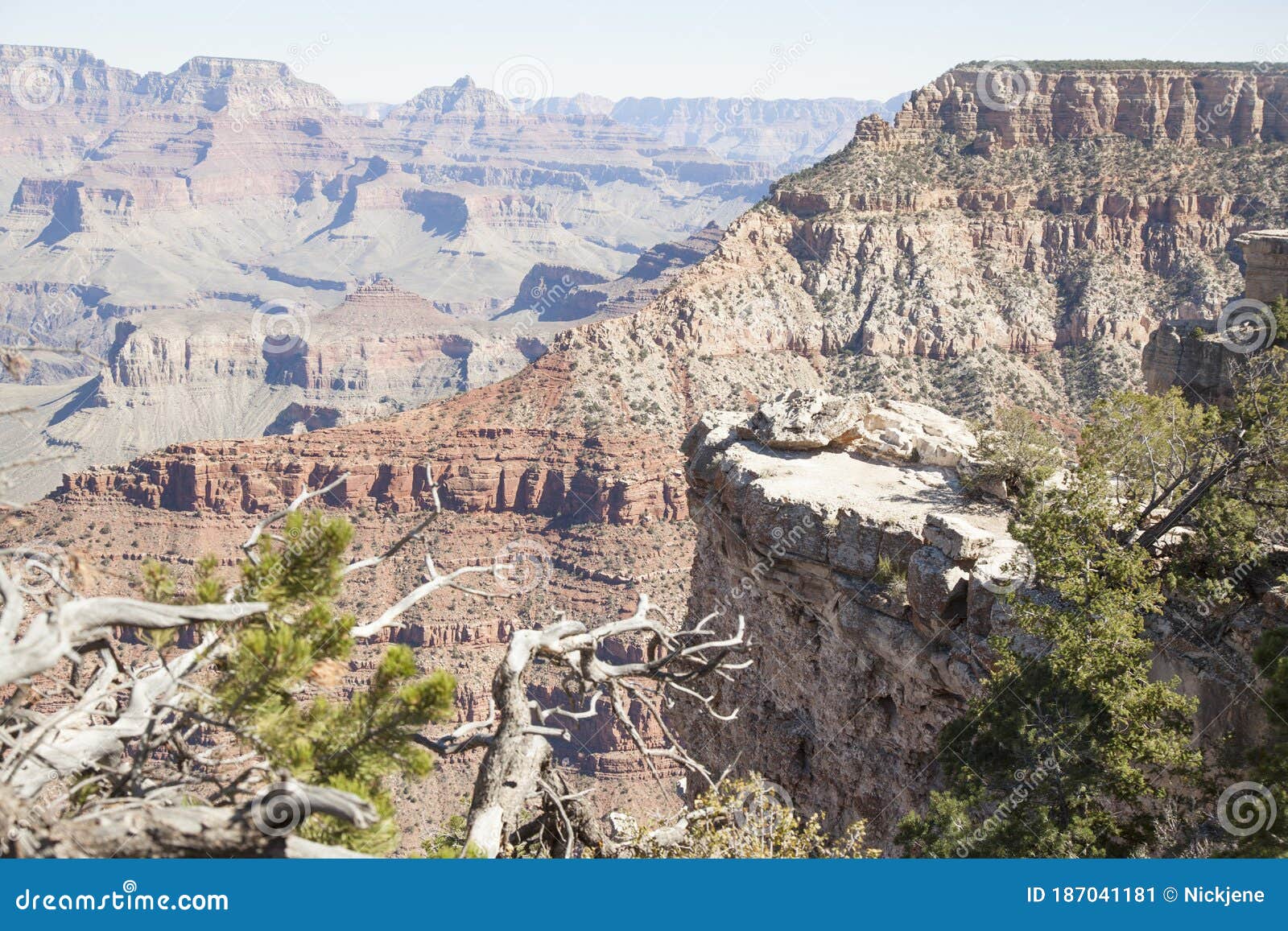 View of Grand Canyon from Mather Point Stock Image - Image of travel ...