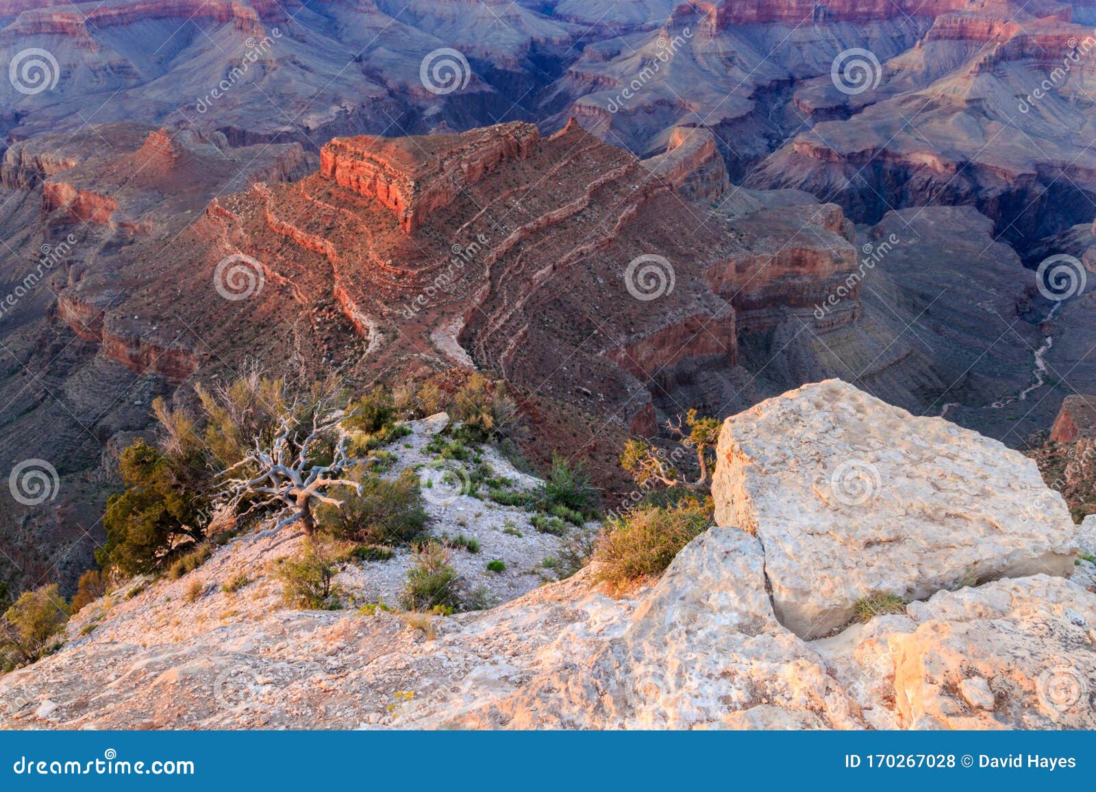 View into Grand Canyon. Rock Ledge, Dead Tree, Triangular Rock ...
