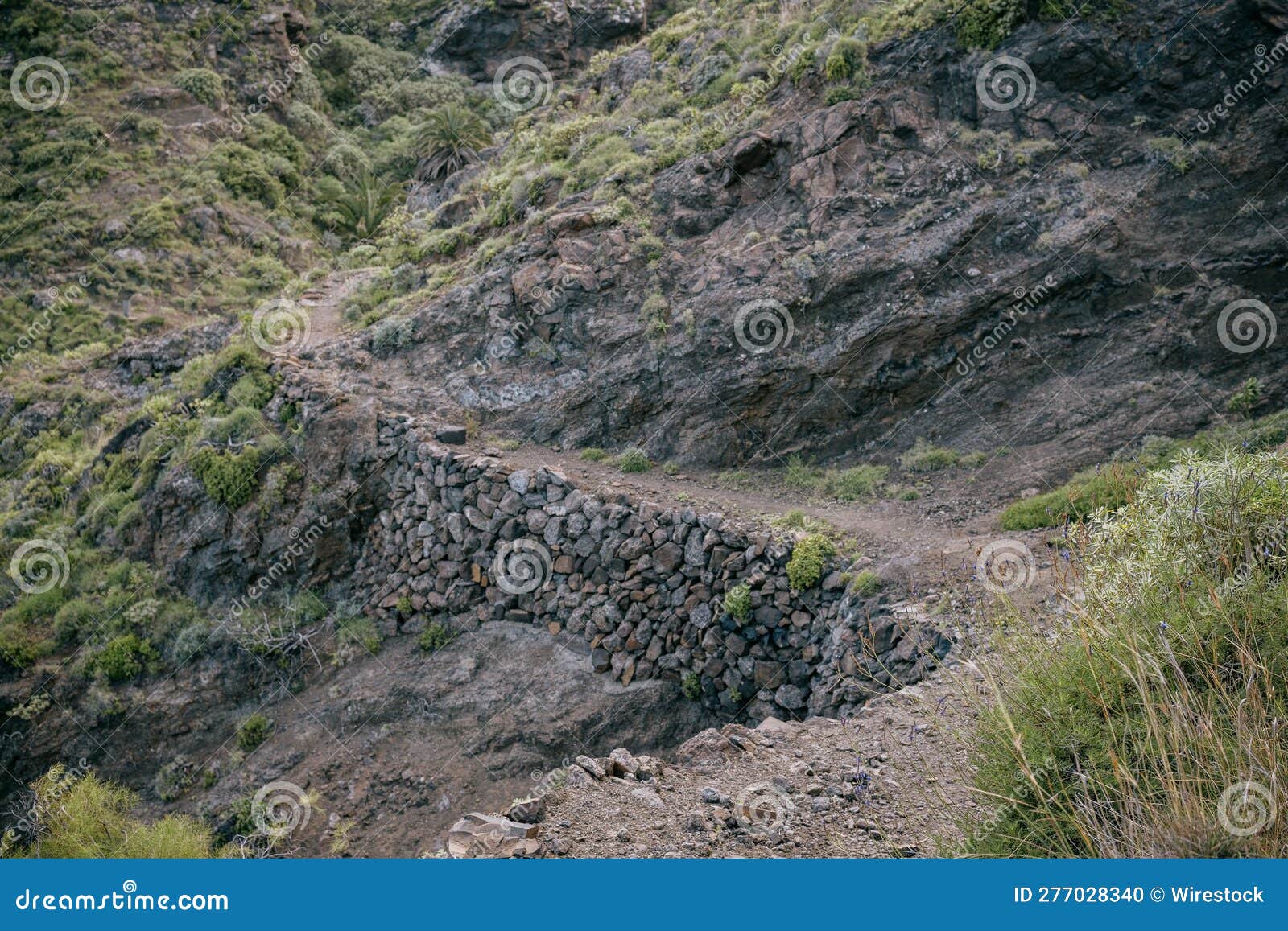 View of a Grassy Hill, Surrounded by Lush Green Trees and Shrubbery ...