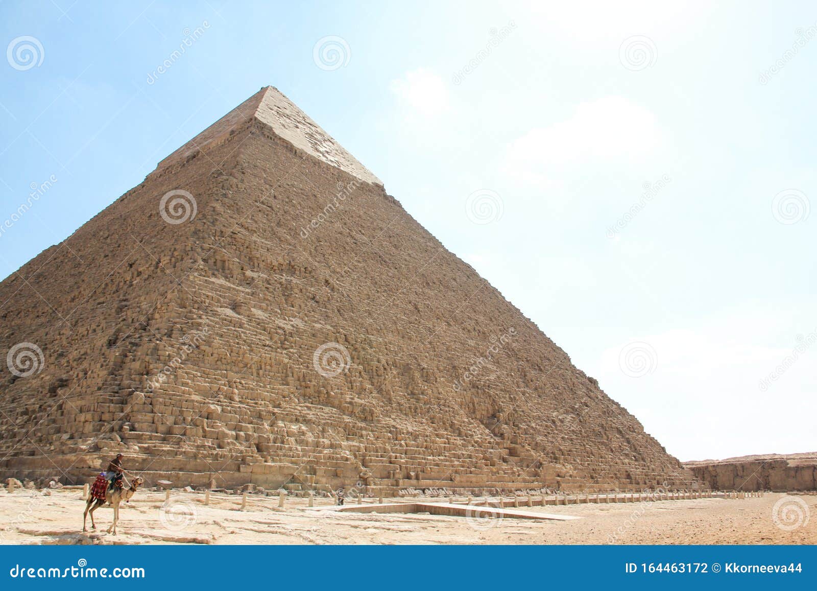 View Of The Great Pyramid Of Pharaoh Khafre With A Rider On A Camel ...
