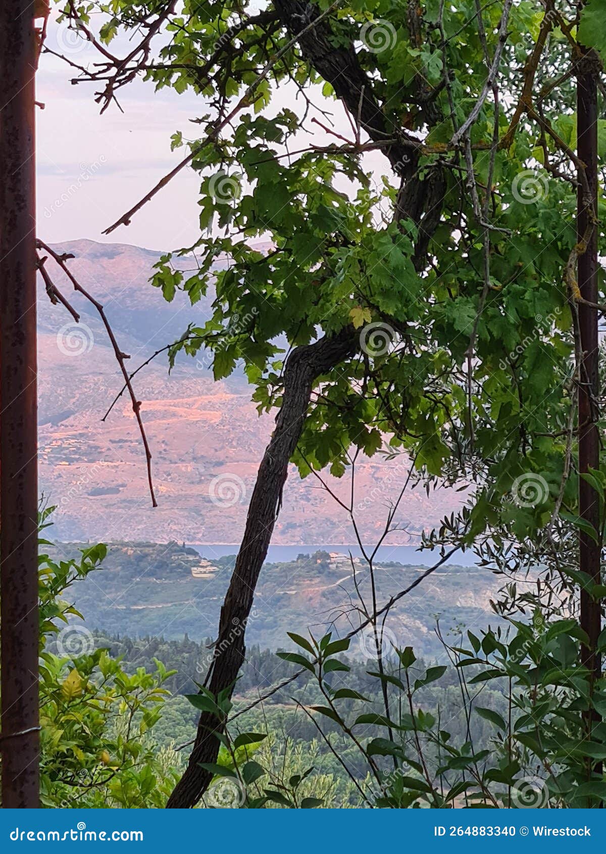 View of the Greek Countryside Stock Photo - Image of scenic, greece ...
