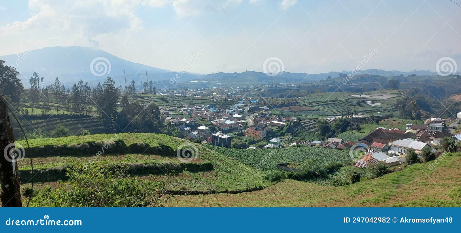 View of the Green Color Evidence in Dieng, Central Java Stock Photo ...