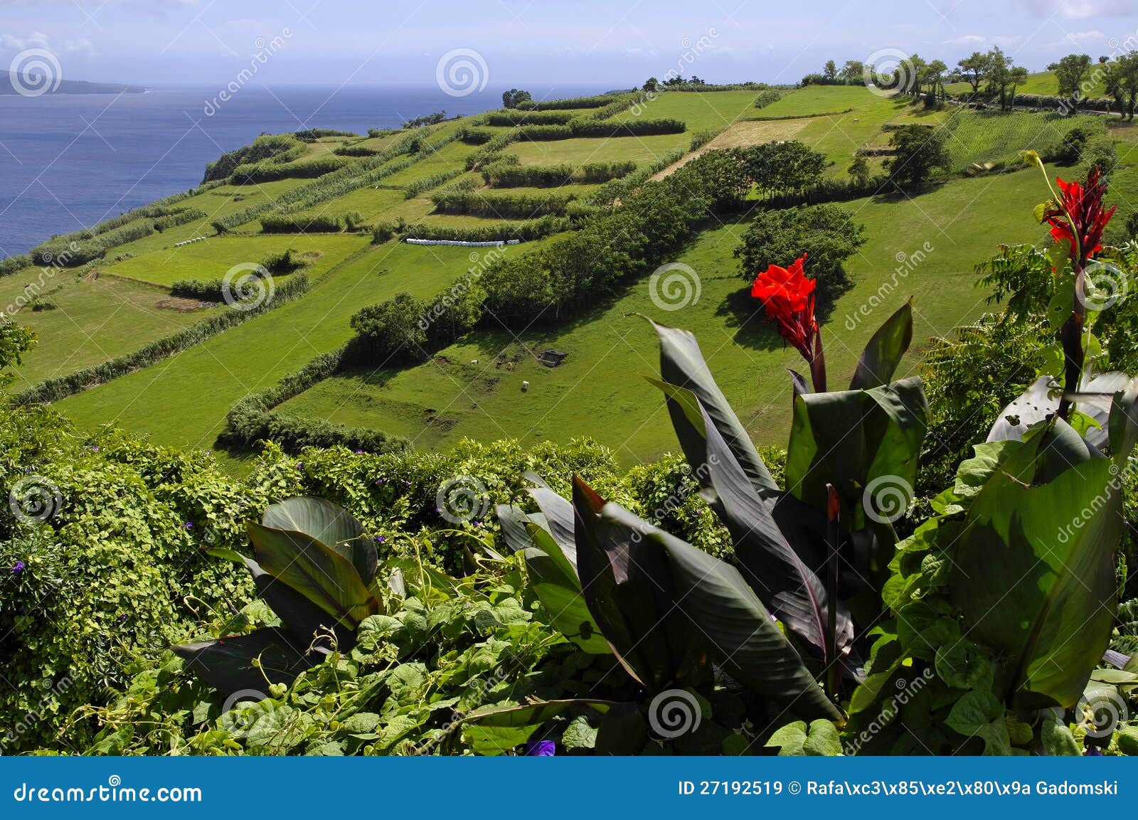 The View of Green Faial Island. Azores. Stock Image - Image of seascape ...