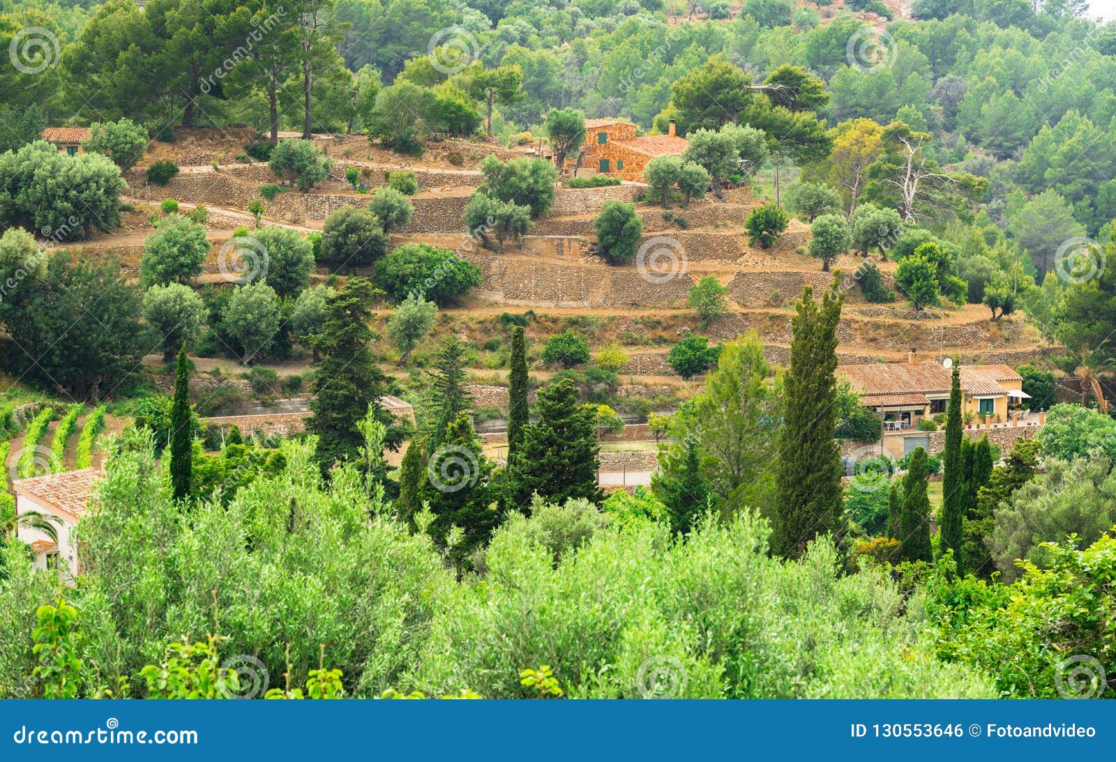 Mediterranean Terraced Landscape Nature View Stock Photo - Image of ...