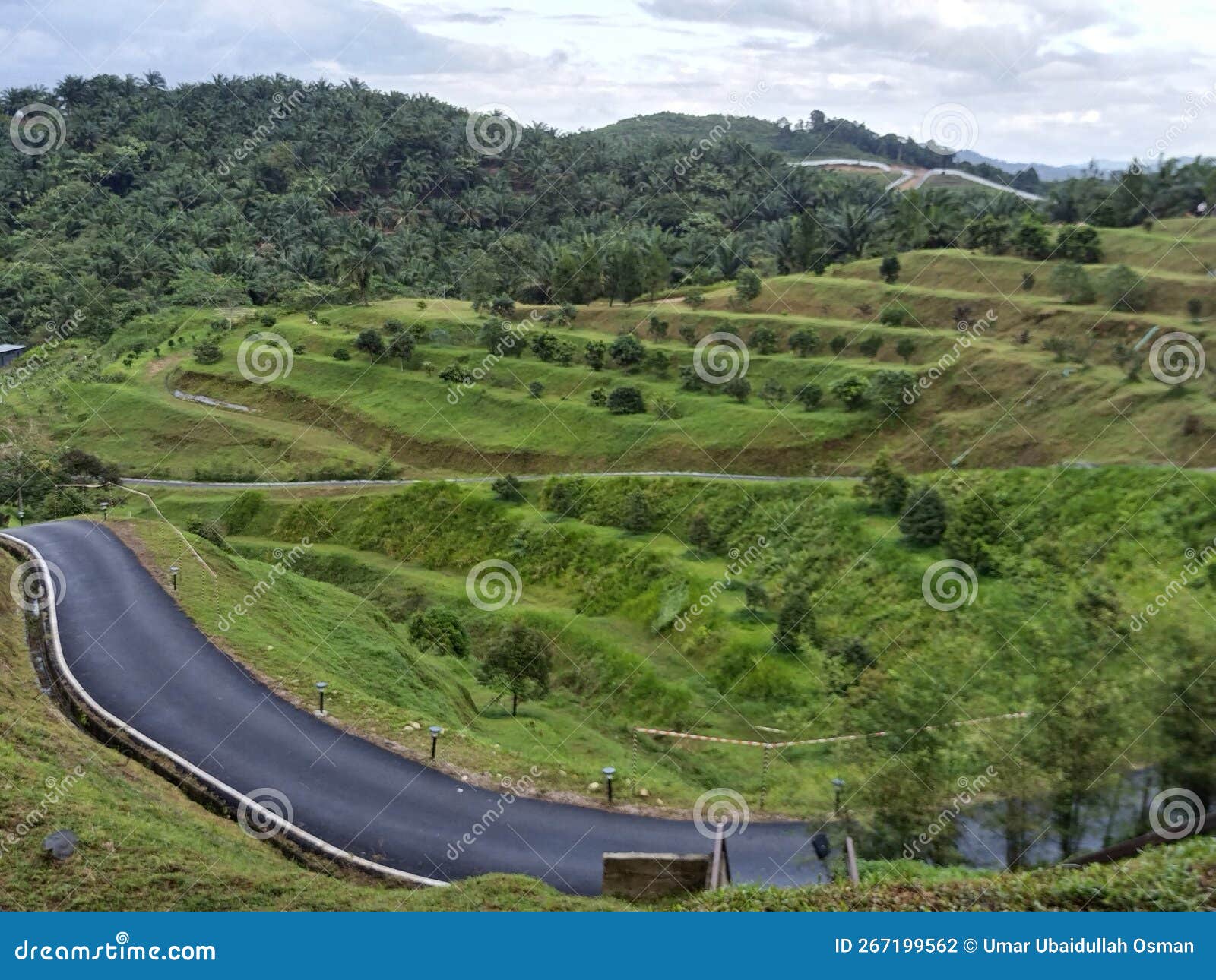 View of Green Nature Talula Kluang Stock Photo - Image of view, kluang ...