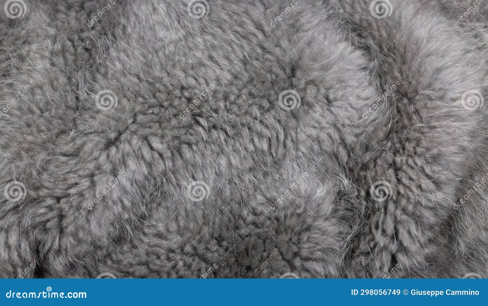 Grey fur texture top view stock illustration. Illustration of pelt ...