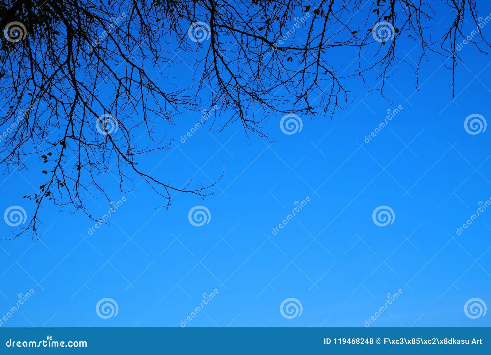 Blue Sky with Tree and Branches Stock Photo - Image of spooky, outdoors ...