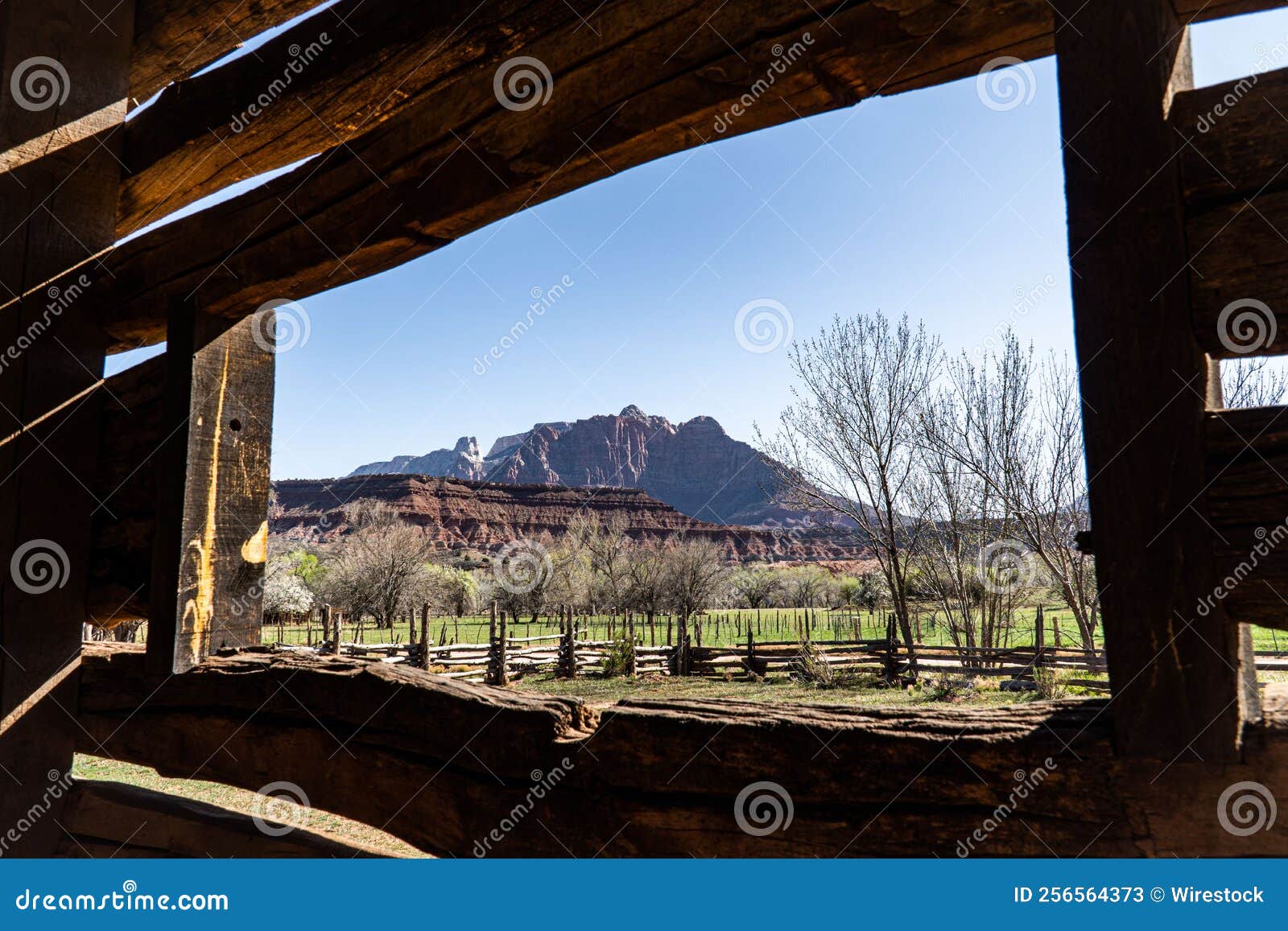 View of Growing Trees in Field in Background of Mountains Behind Barn ...