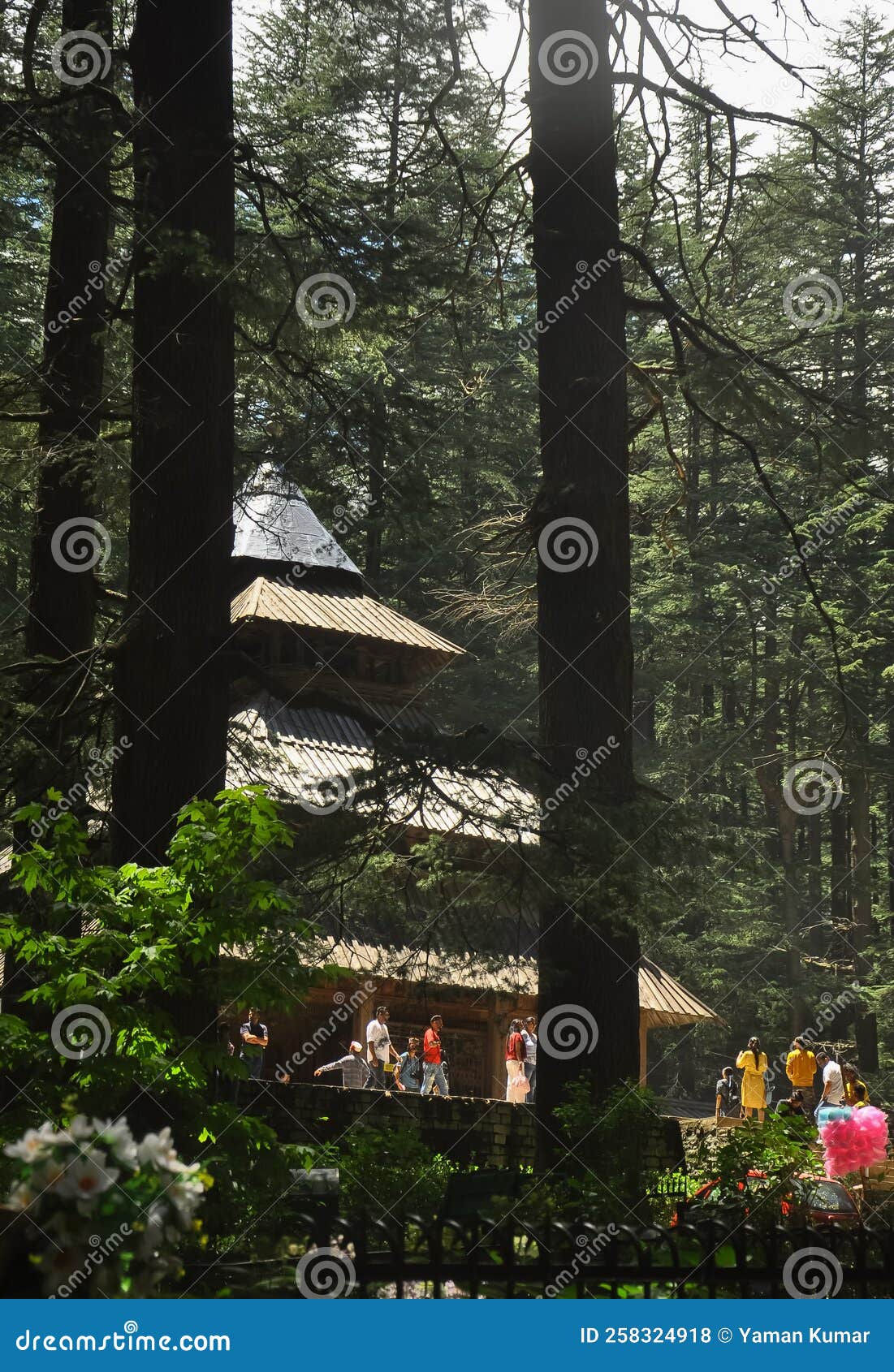 View of Hadimba Devi Temple from among Cedar Trees Editorial Stock ...