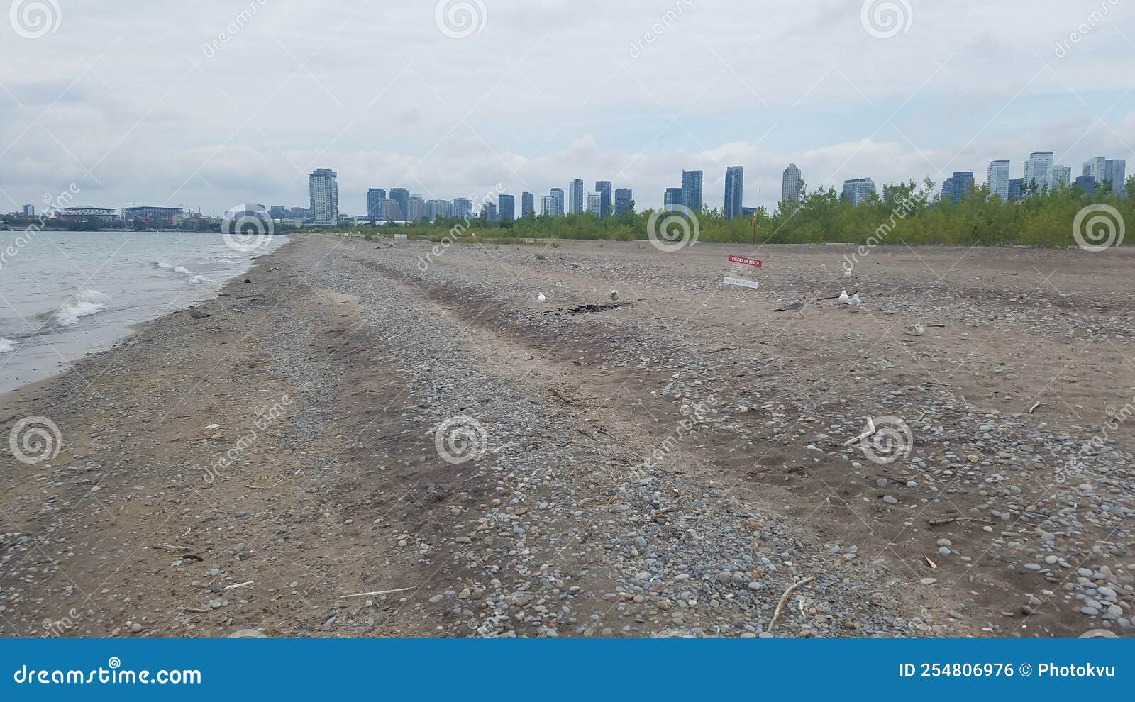 Hanlan`s Point Beach stock photo. Image of empty, coast - 254806976
