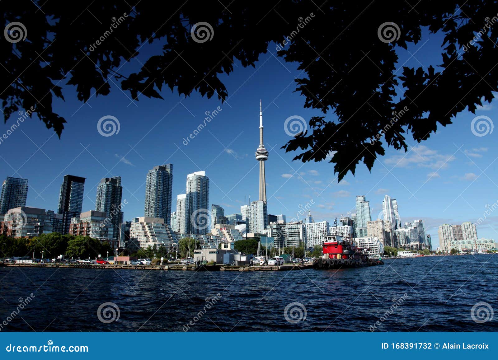 Toronto harbor stock photo. Image of evening, view, house - 168391732