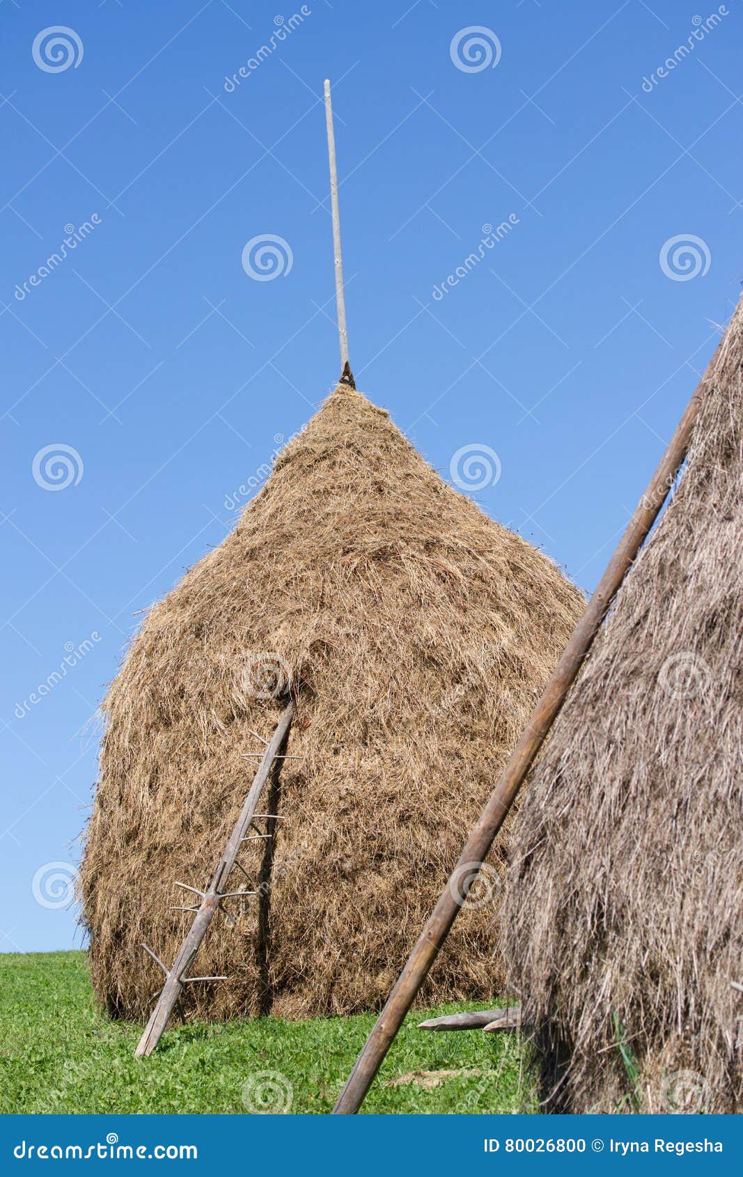 View of a hay bundle stock photo. Image of country, bundled - 80026800