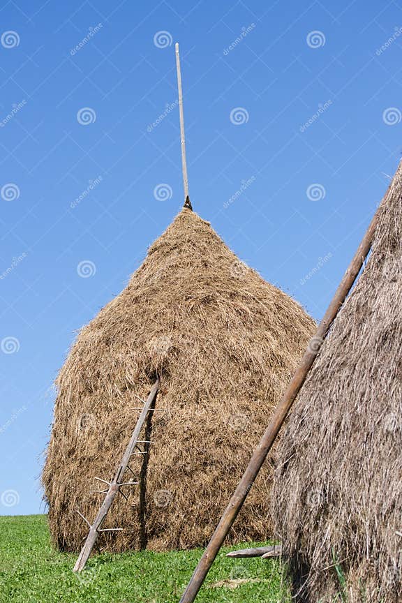 View of a hay bundle stock photo. Image of country, bundled - 80026800