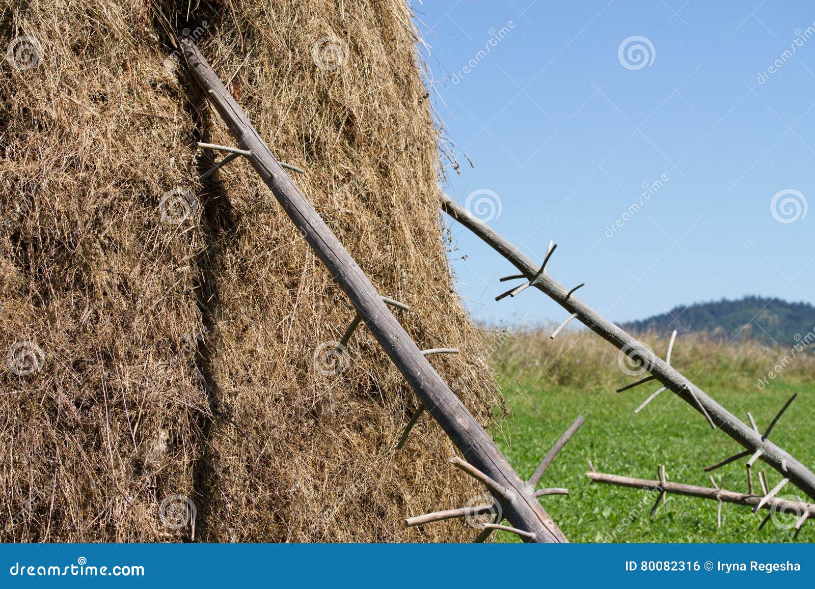 View of a hay bundle stock photo. Image of bales, closeup - 80082316