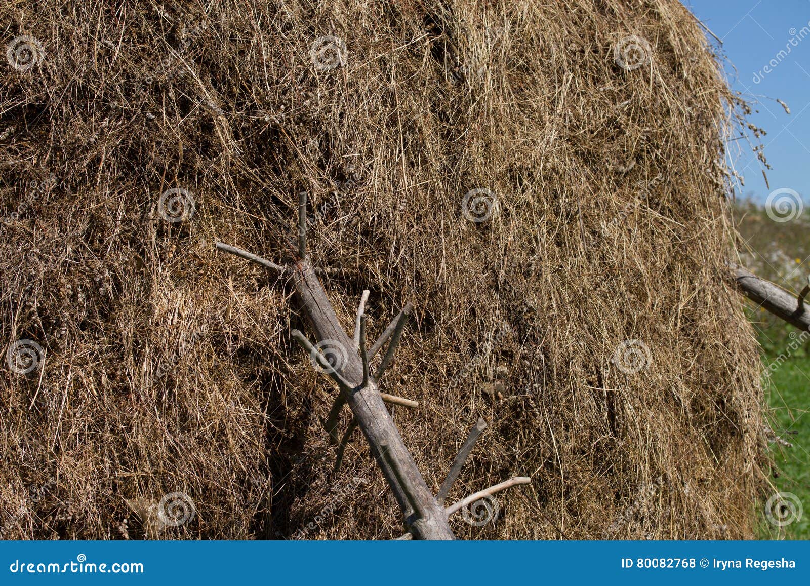View of a hay bundle stock photo. Image of harvest, bales - 80082768