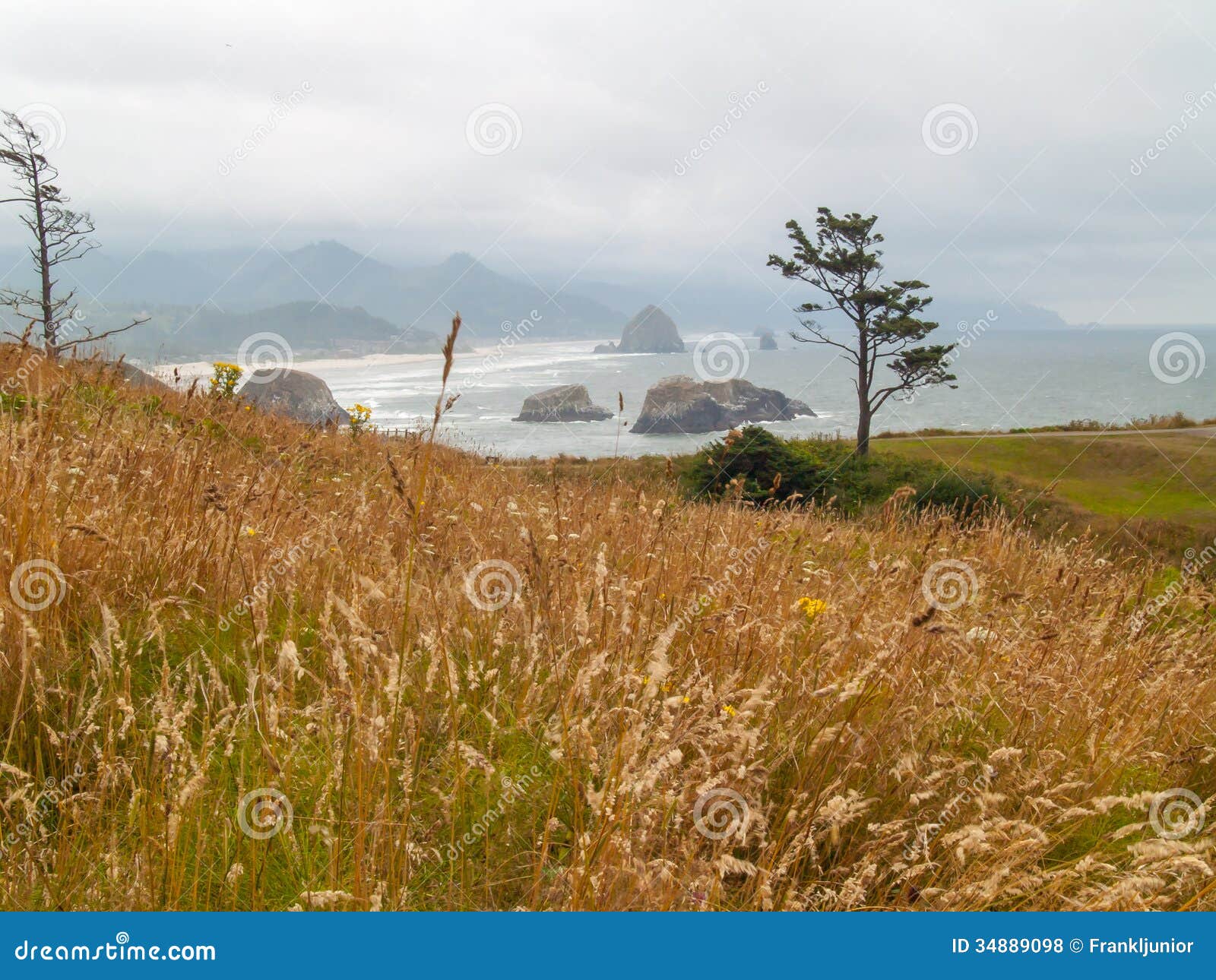 View of Haystack on the Oregon Coast Stock Photo - Image of nature ...