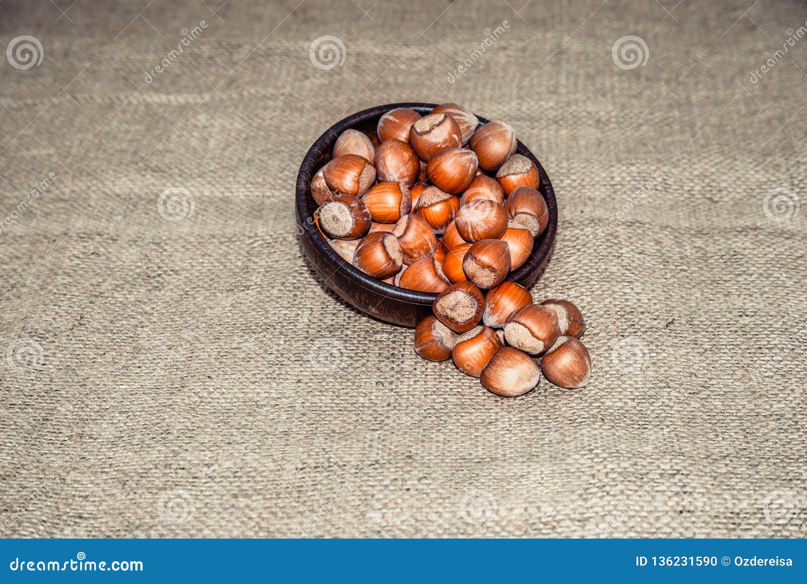 View of Hazelnuts in Shell Isolated on Background Stock Photo - Image ...