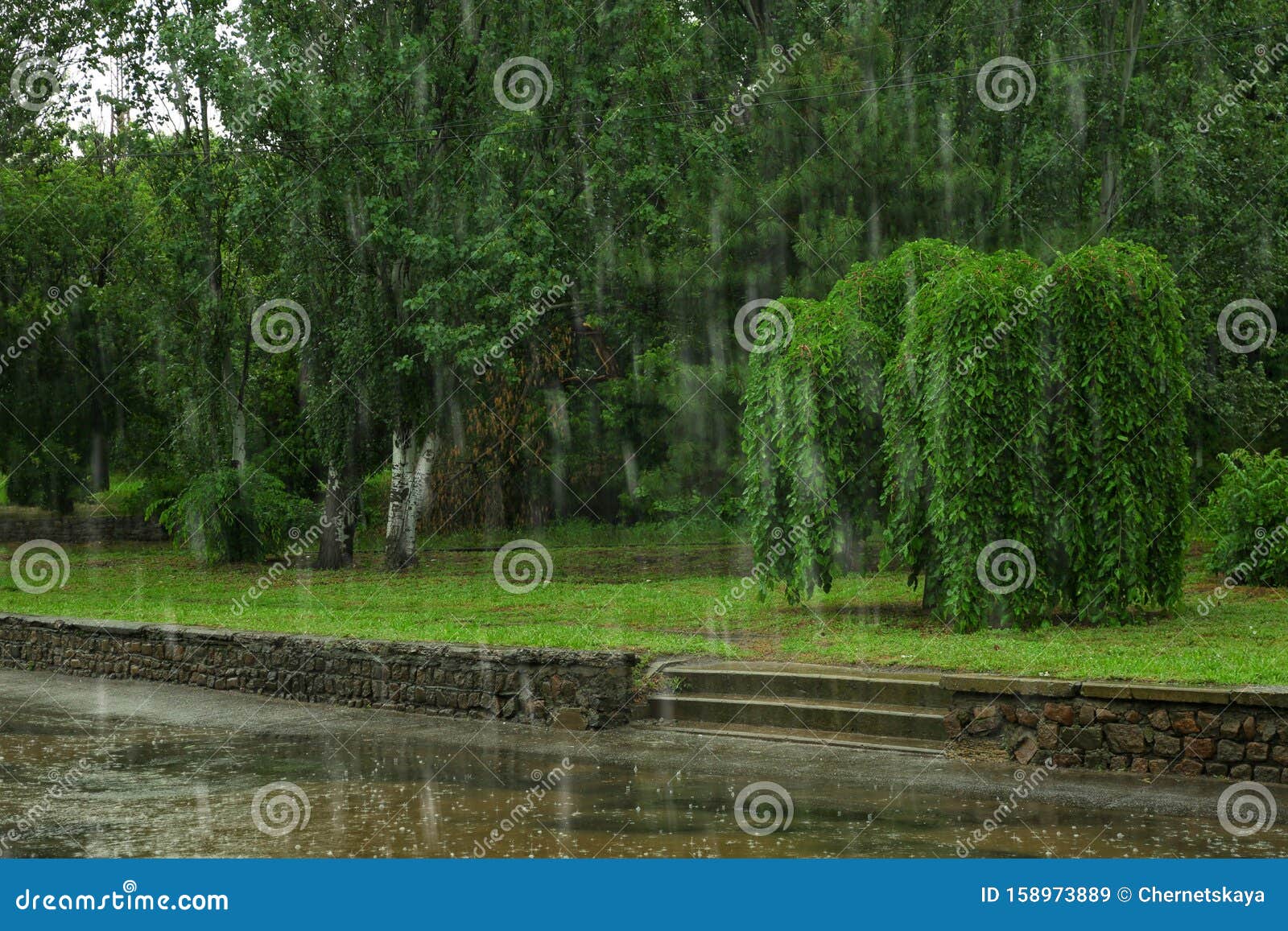 View of Heavy Pouring Rain in Park Stock Image - Image of climate ...