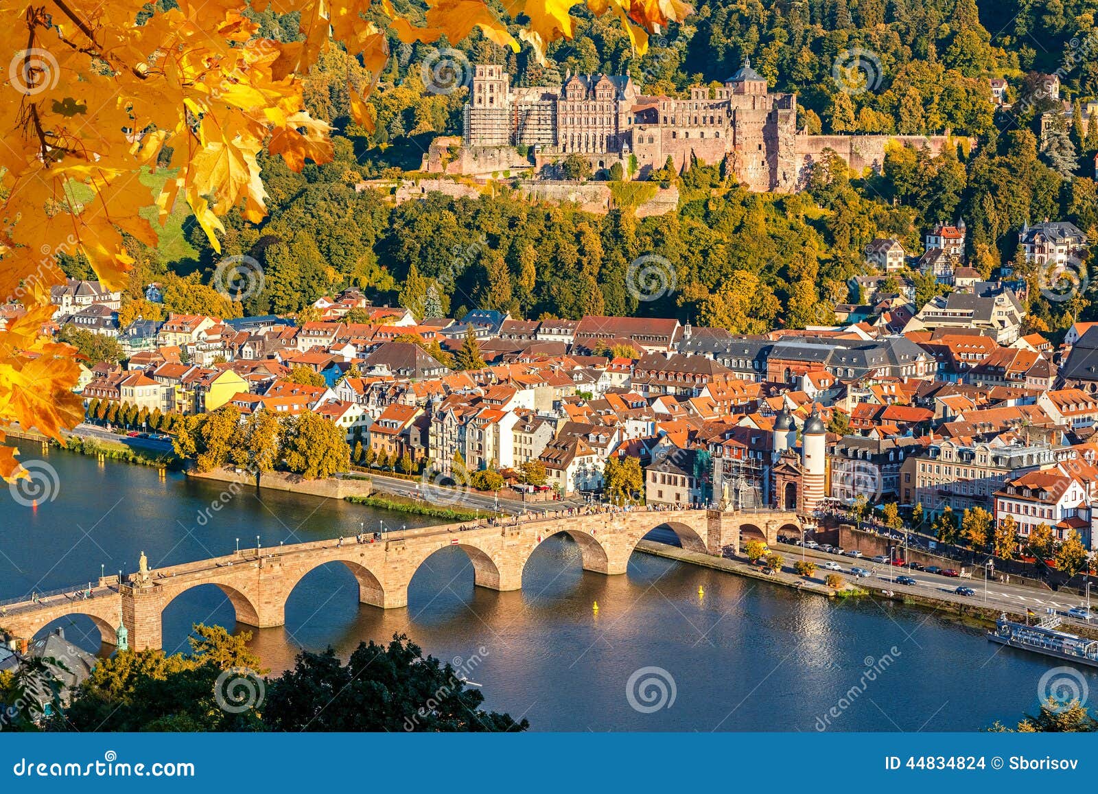 View on Heidelberg stock photo. Image of chateau, fall - 44834824