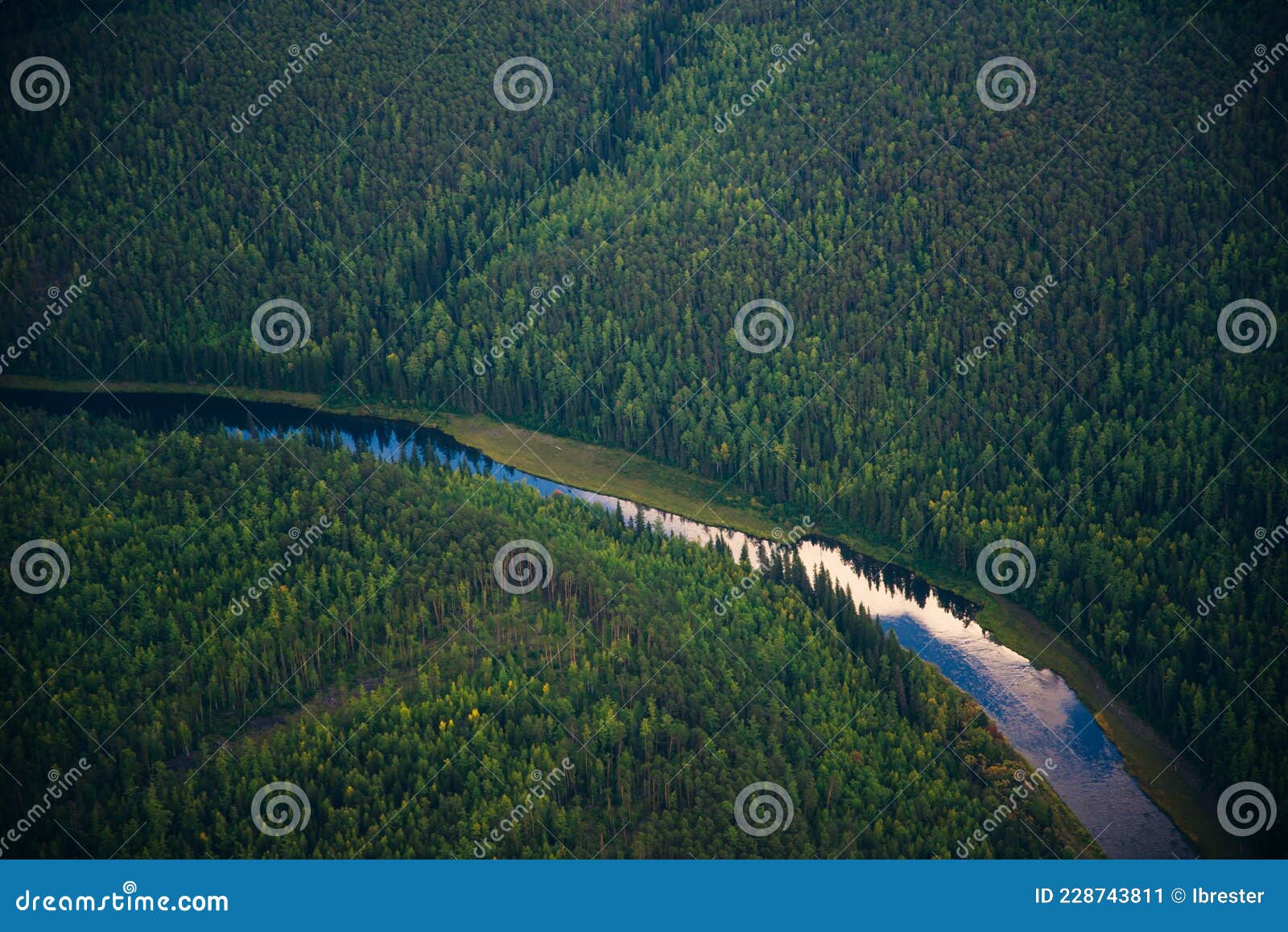 View from a Height of Taiga with a River Stock Image - Image of forest ...