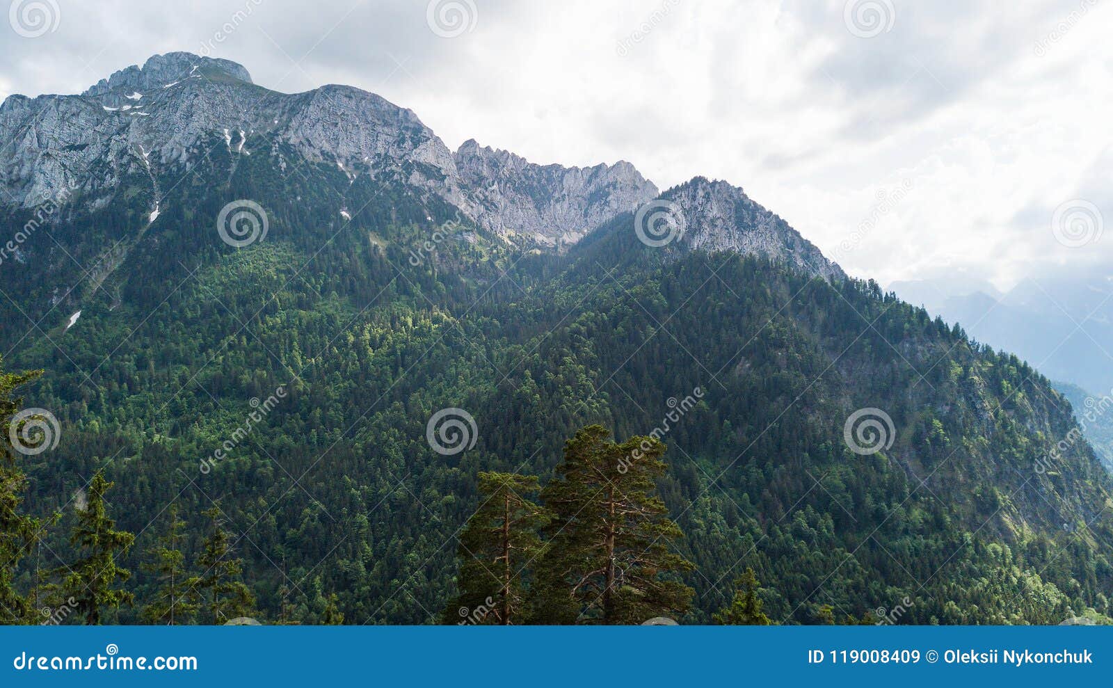 View from a Height To a Mountain Range with Coniferous Trees Stock ...