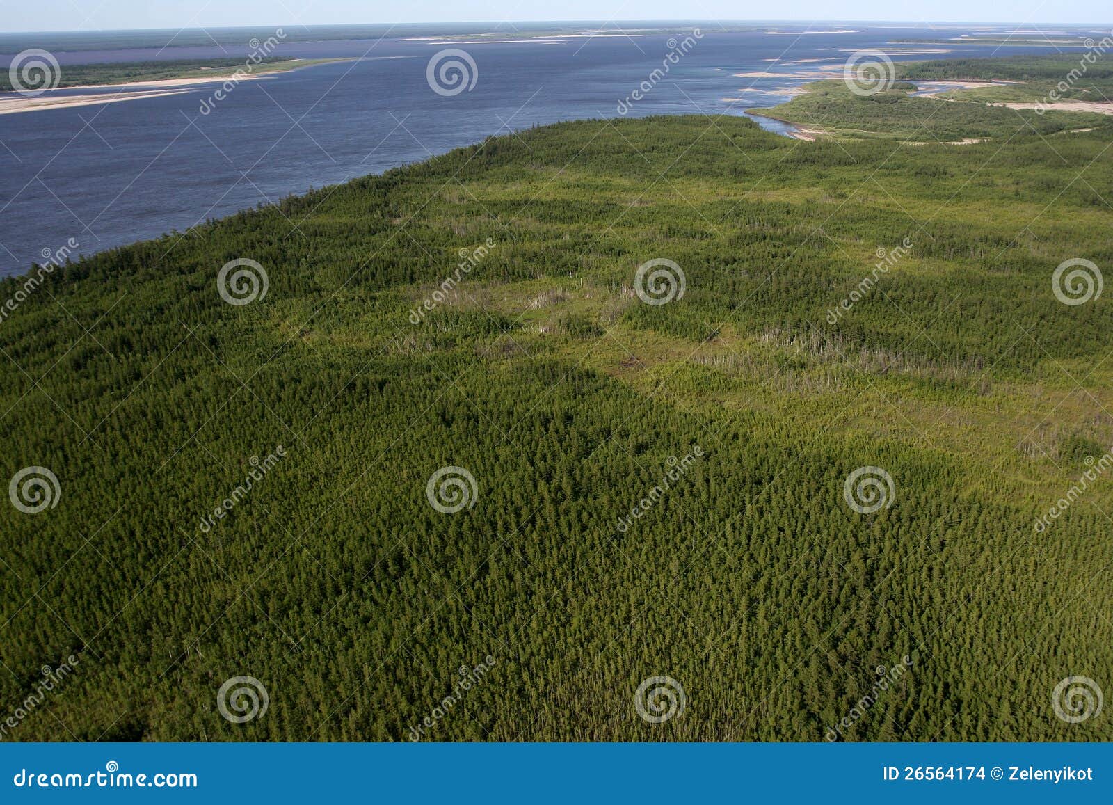View from the Helicopter on the River Stock Photo - Image of green ...