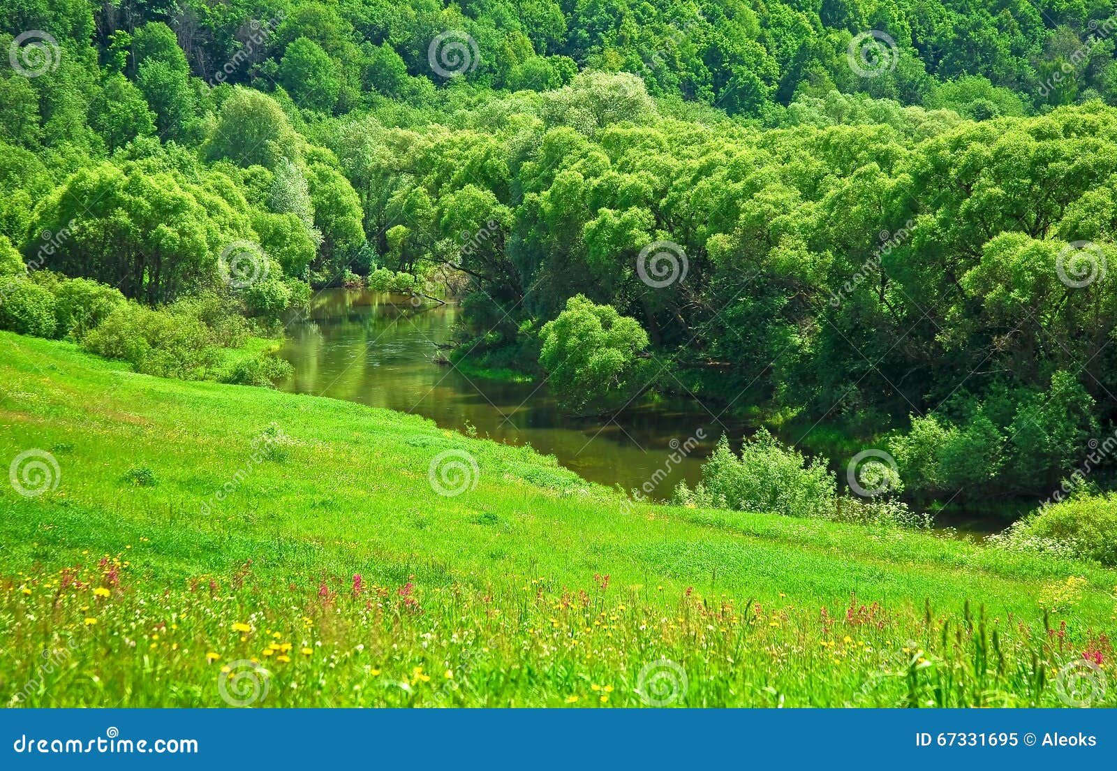 View from the High Bank of the River Stock Image - Image of meadow ...
